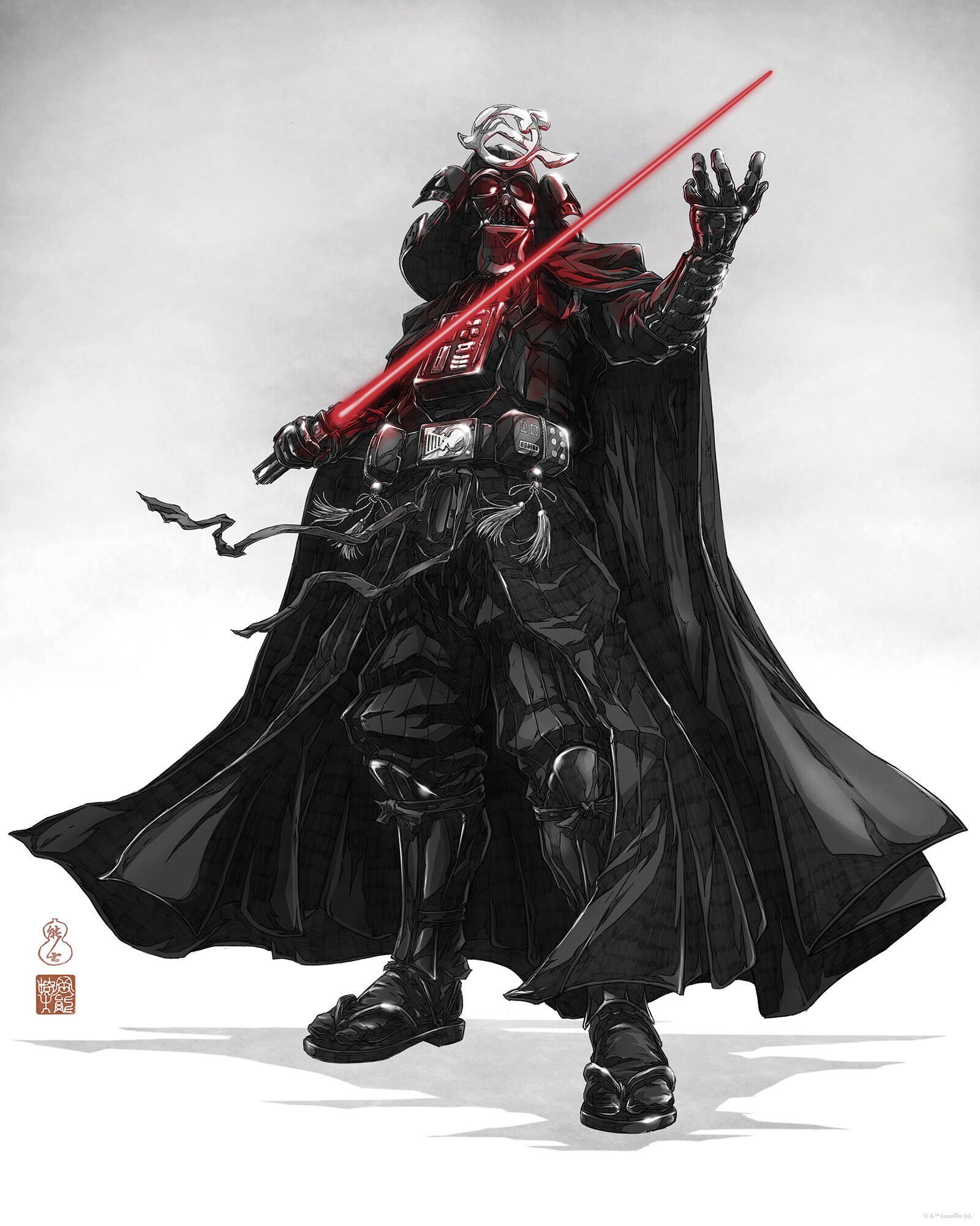 Affiche Star Wars Vision Samurai Dark Lord l.40 x H.50 | Leroy Merlin