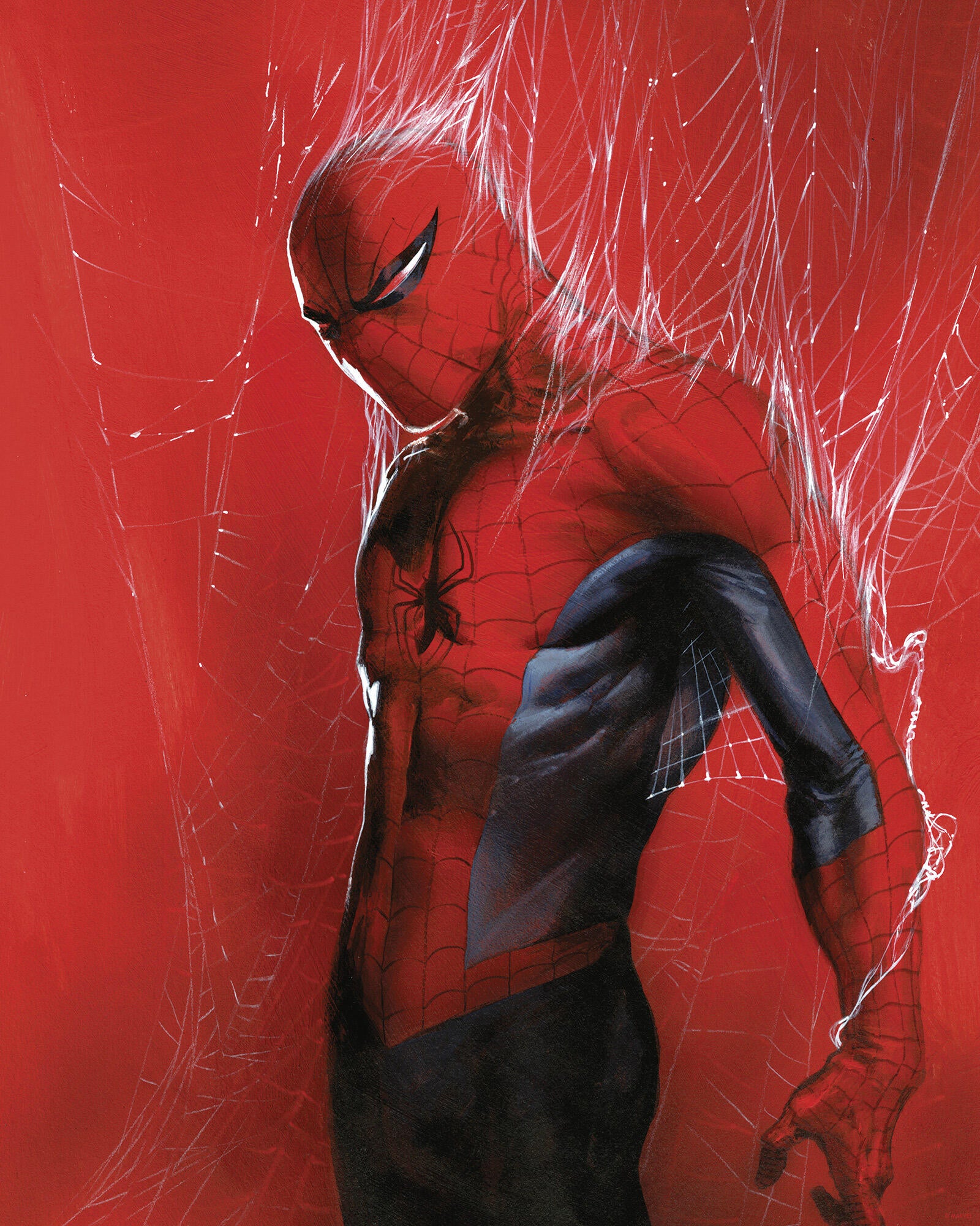 Affiche Marvel Spider-Man Through the Spider Web l.40 x H.50 | Leroy Merlin