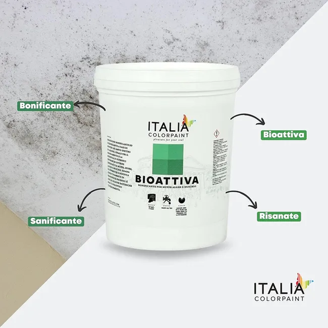 Miglior antimuffa: come scegliere il prodotto giusto per la muffa di ...