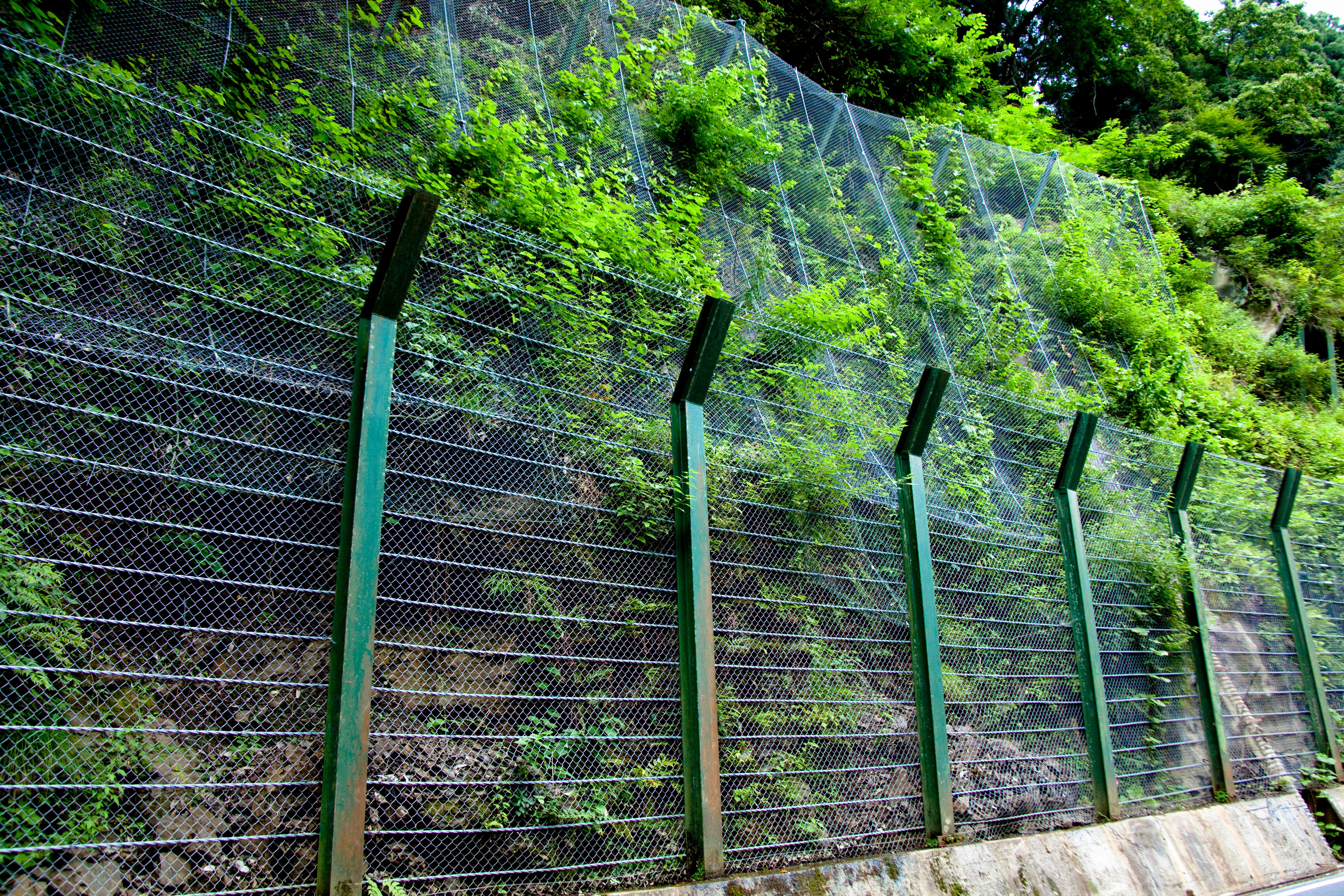 Osunięcie gruntu a odkształcenie ogrodzenia – jak je naprawić? - Leroy ...