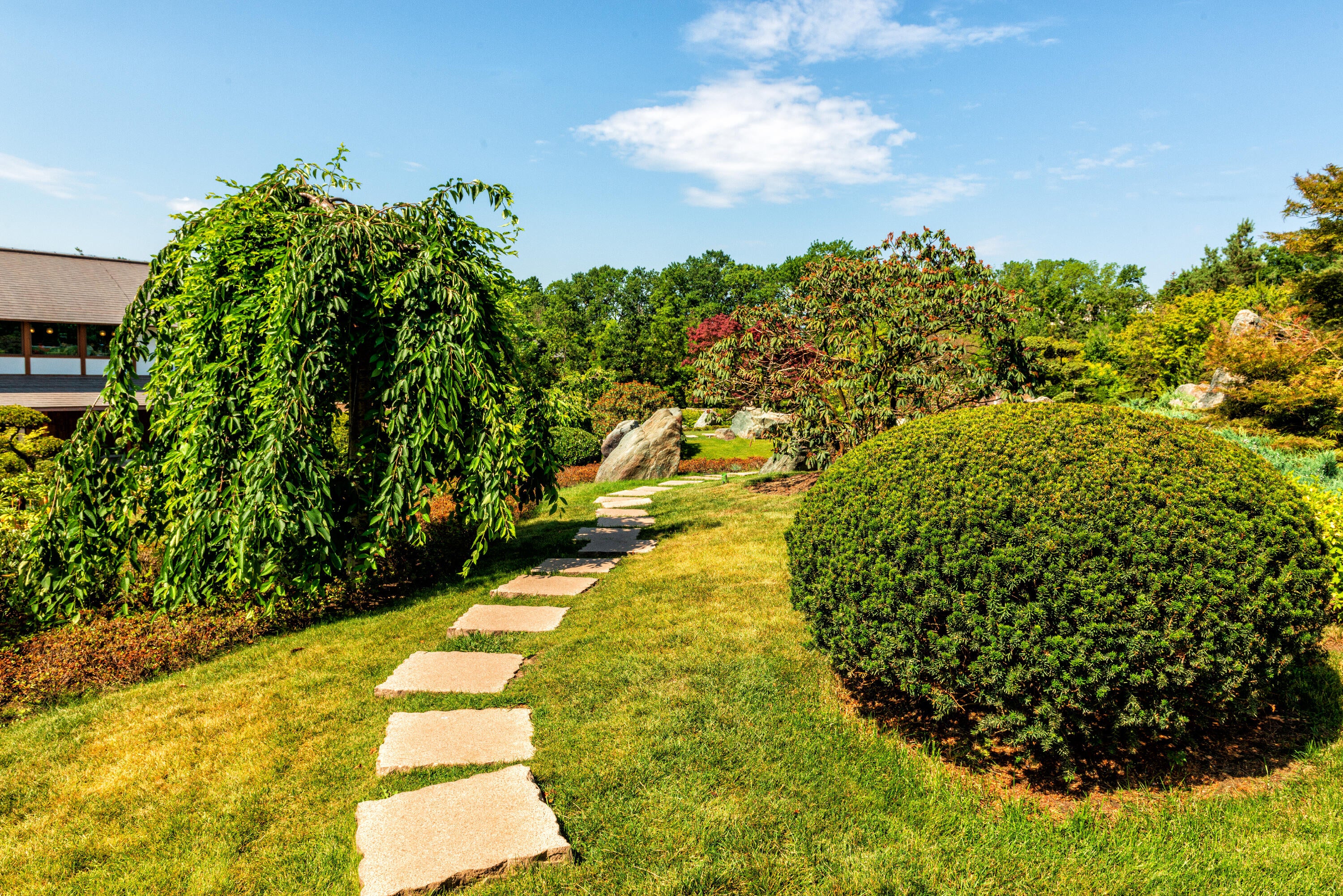 Jak rozpoznać pierwsze oznaki osuwiska na działce? - Leroy Merlin