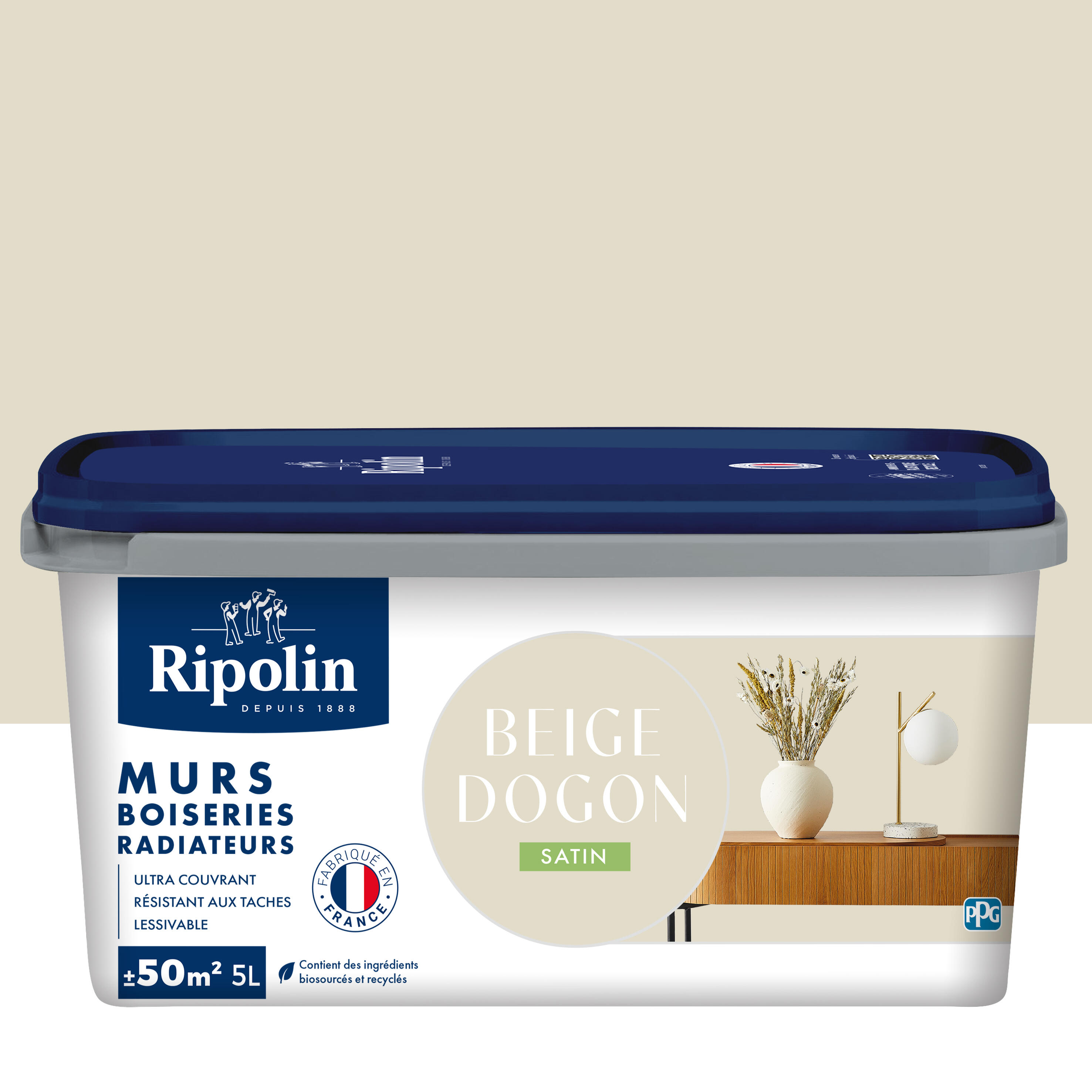 Peinture mur, boiserie, radiateur beige dogon satin RIPOLIN , 5L ...