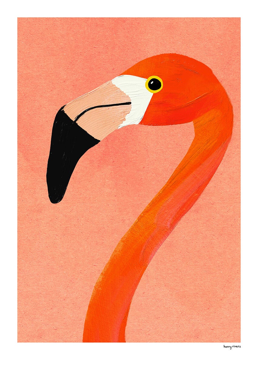 Affiche Pod flamingo, assorti BLUE ART l.50 x H.70 cm | Leroy Merlin