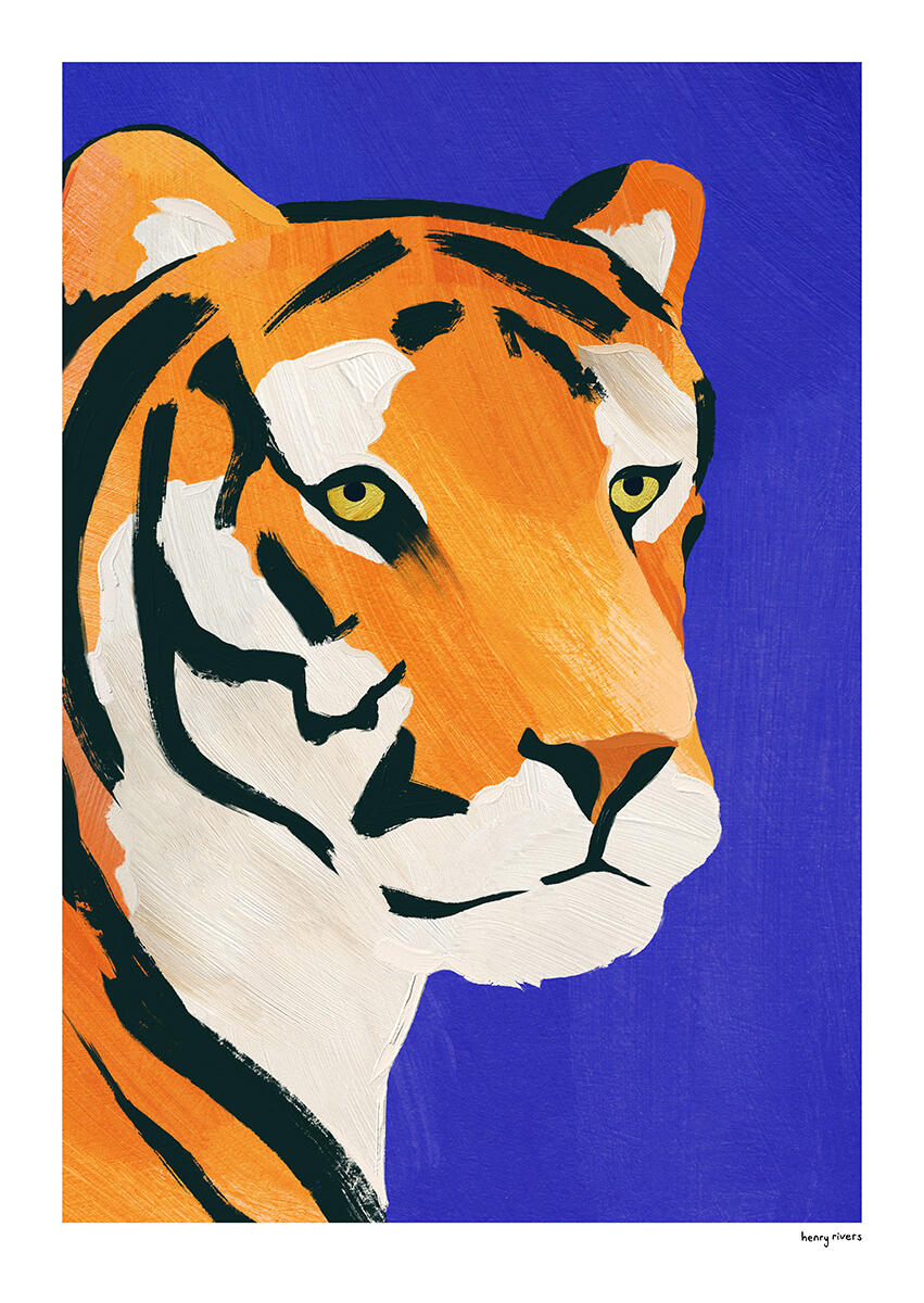 Affiche Pod tiger, assorti BLUE ART l.60 x H.80 cm | Leroy Merlin