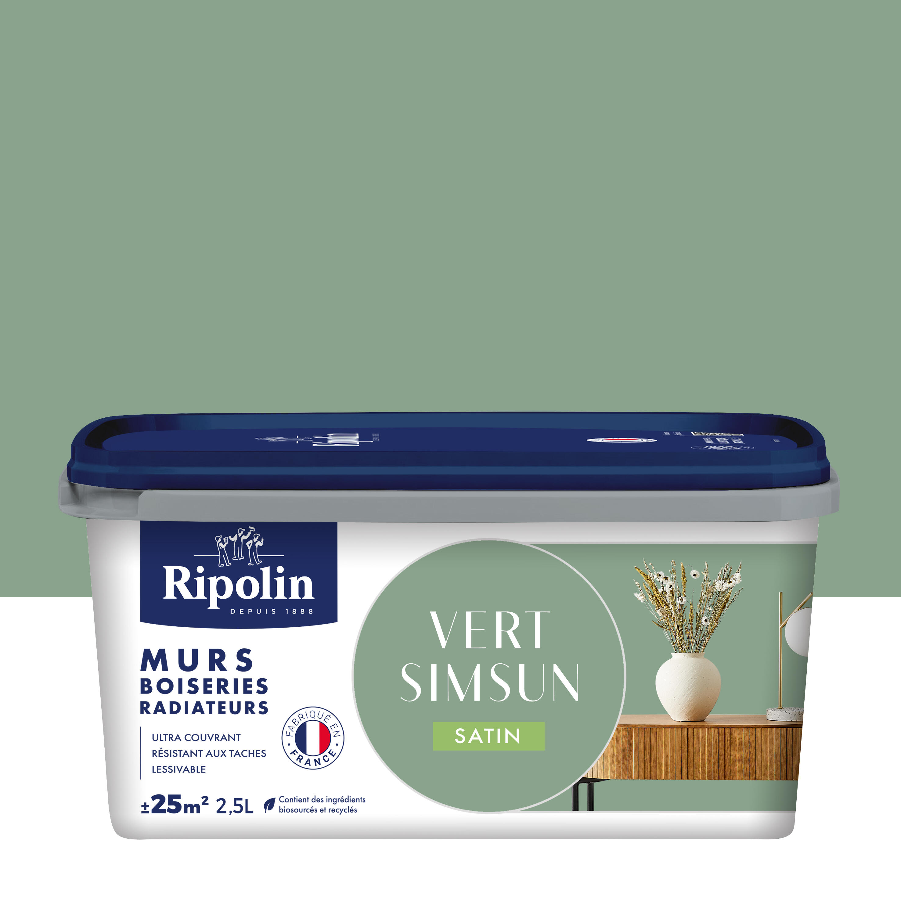 Peinture mur, boiserie, radiateur vert simsun satiné RIPOLIN Intérieur ...