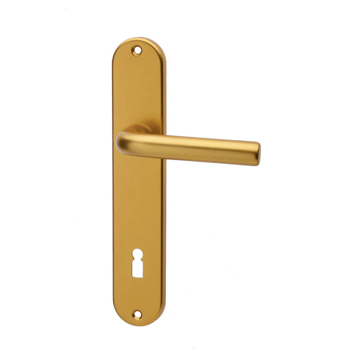 Maniglia con placca per porte da interno in alluminio oro lucido foro ...