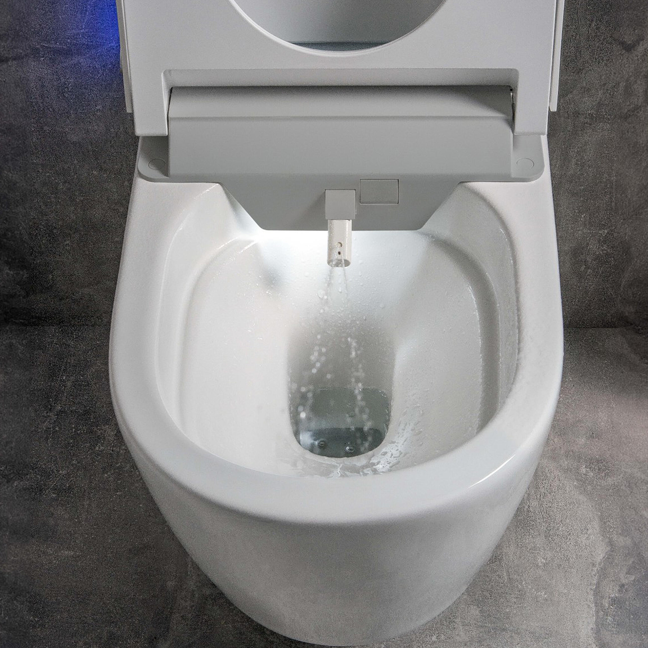 Miski WC japońskie – inteligentne toalety myjące