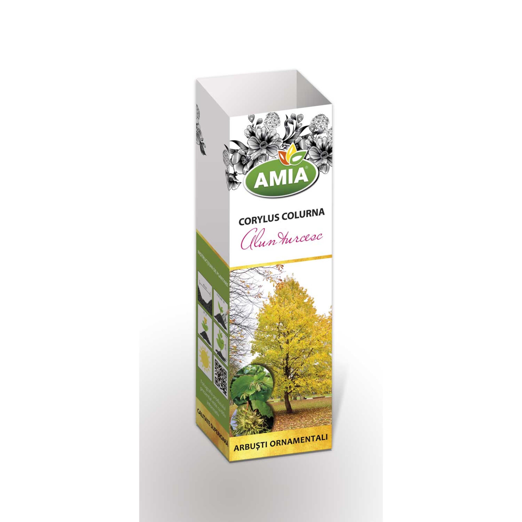 Arbust ornamental alun turcesc, Corylus Colurna | Leroy Merlin
