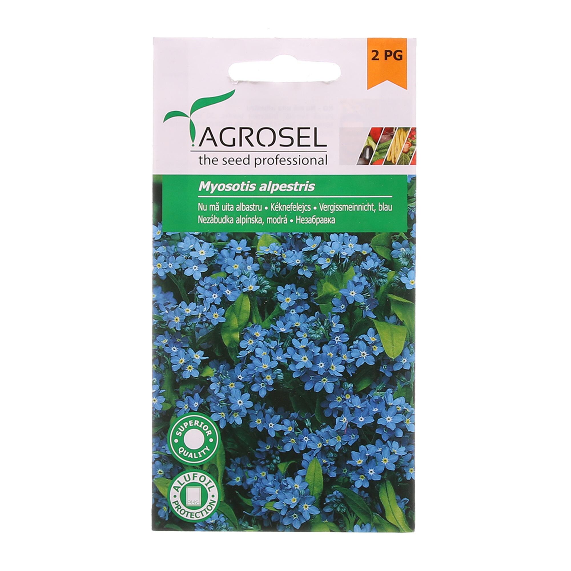 Seminte flori de primavara, nu ma uita, albastru, Agrosel, 1 g | Leroy ...