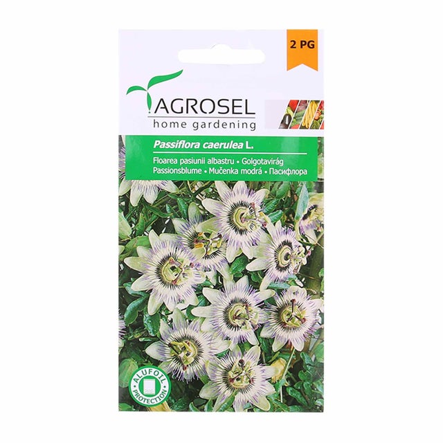 Floare - Preturi mici in fiecare zi | Leroy Merlin