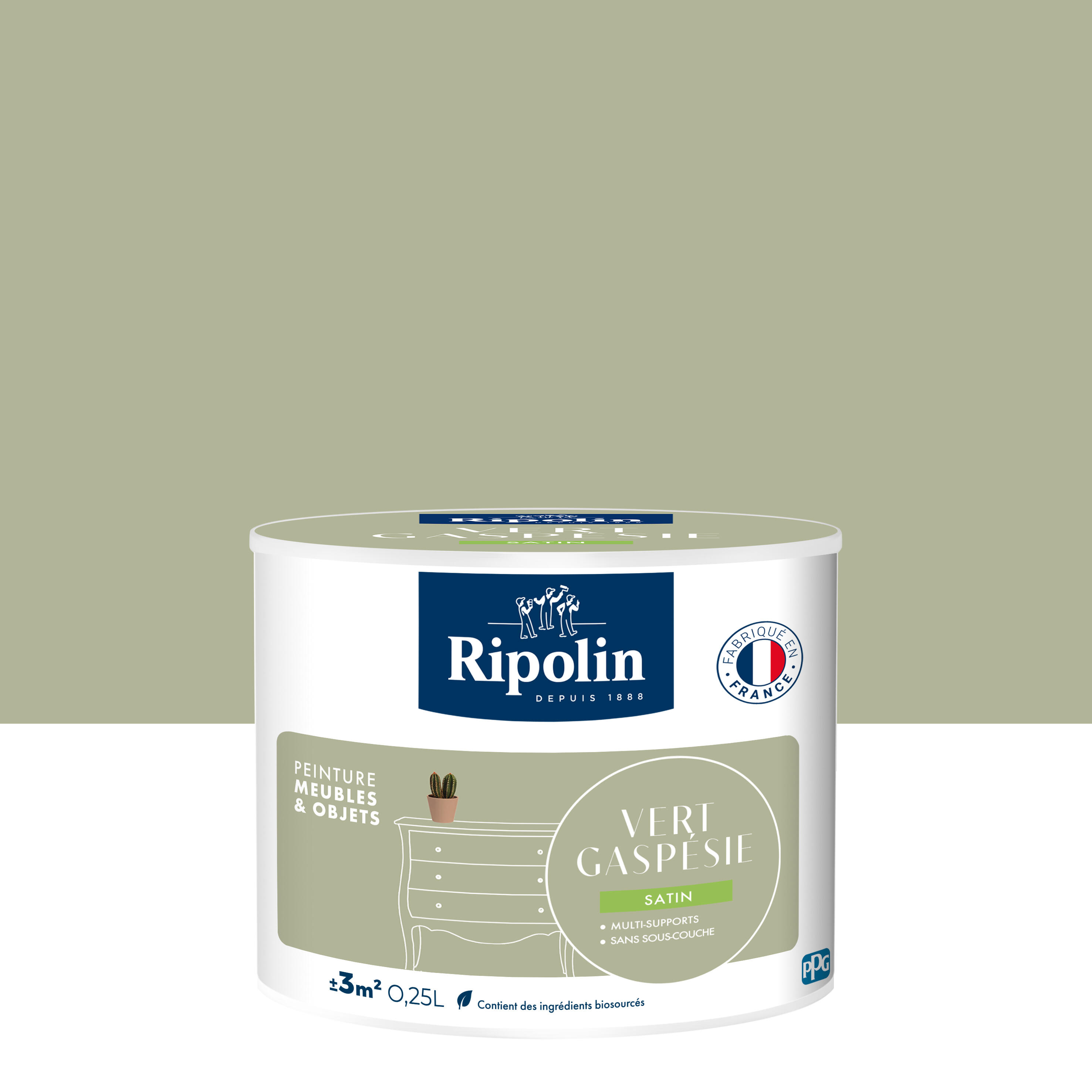 Vert Gaspesie Ripolin