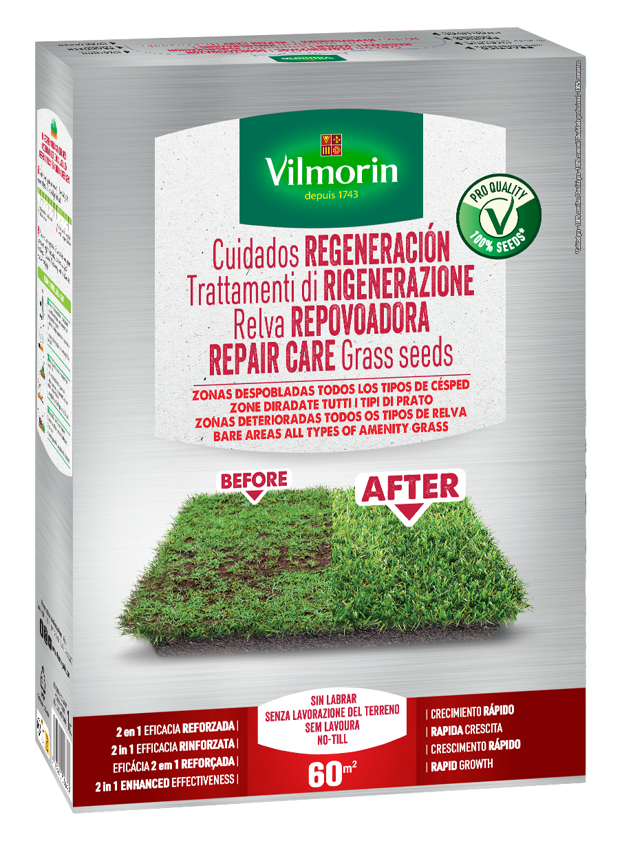 Semilla de césped VILMORIN 1kg para terrenos de menos de 100 m² | Leroy ...