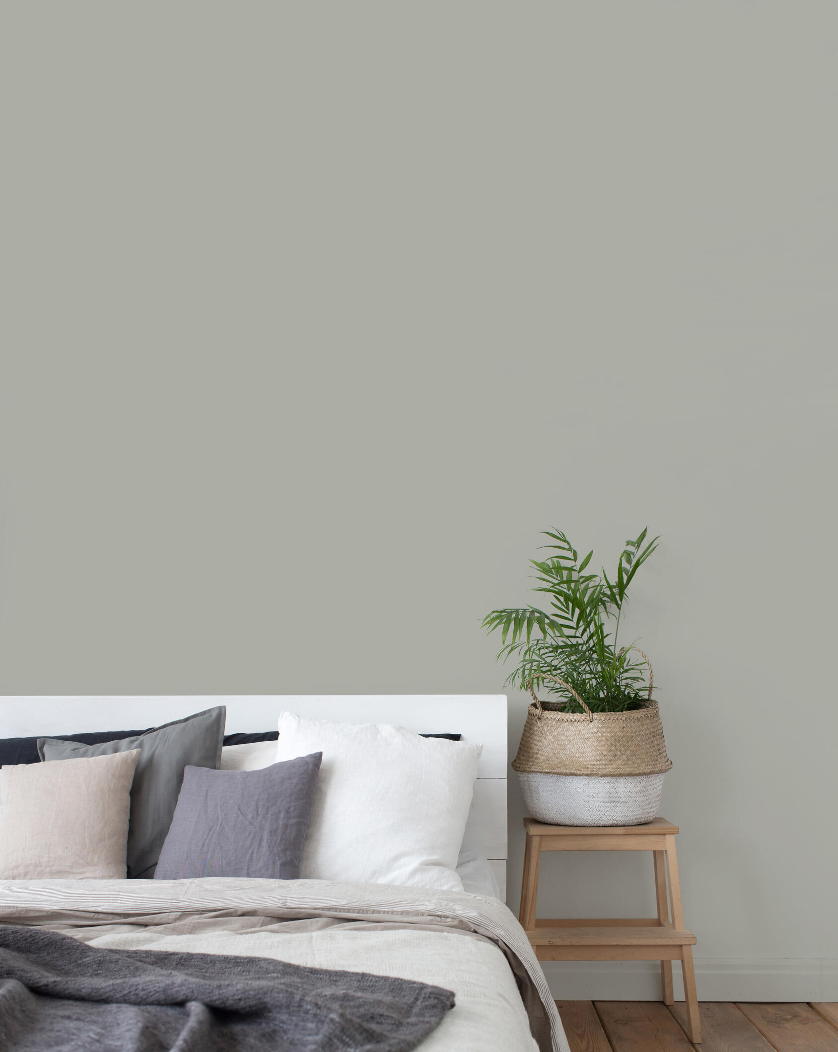 Pintura de interior Montó Monocapa Rehabit gris medio mate 4L para ...