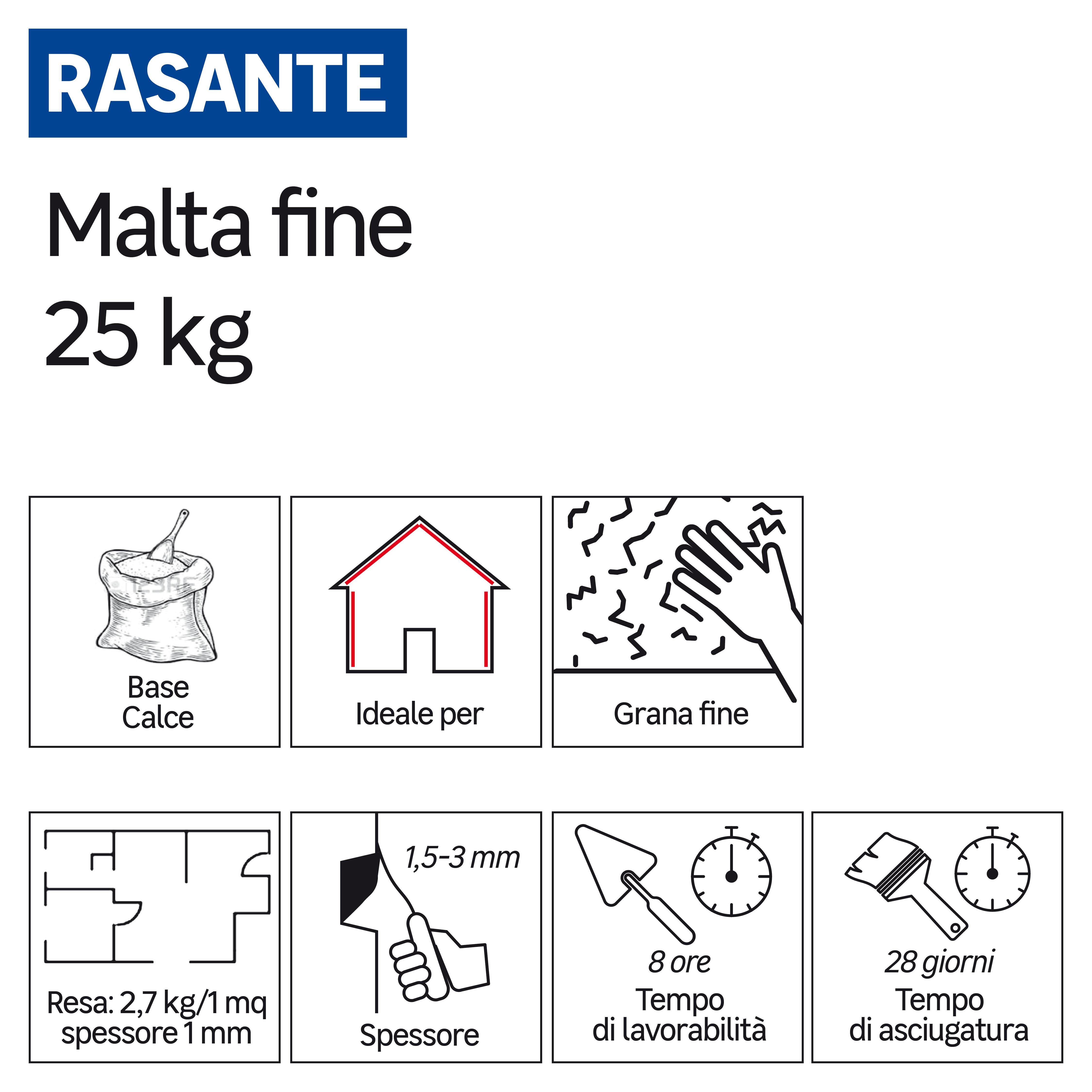 Malta FASSA BORTOLO fina 25 kg | Leroy Merlin