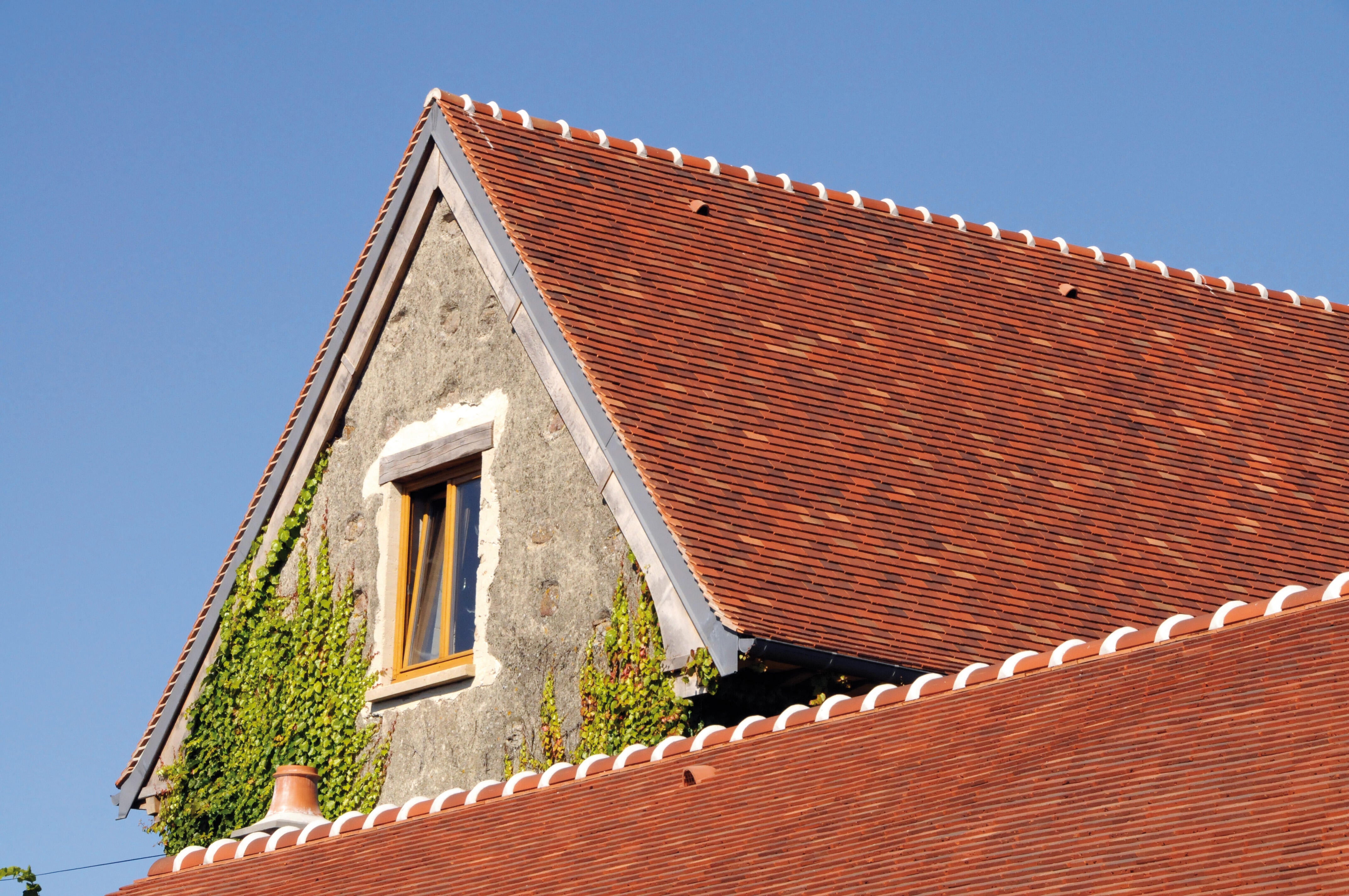 Tuile TERREAL rouge flammé 1v17 | Leroy Merlin