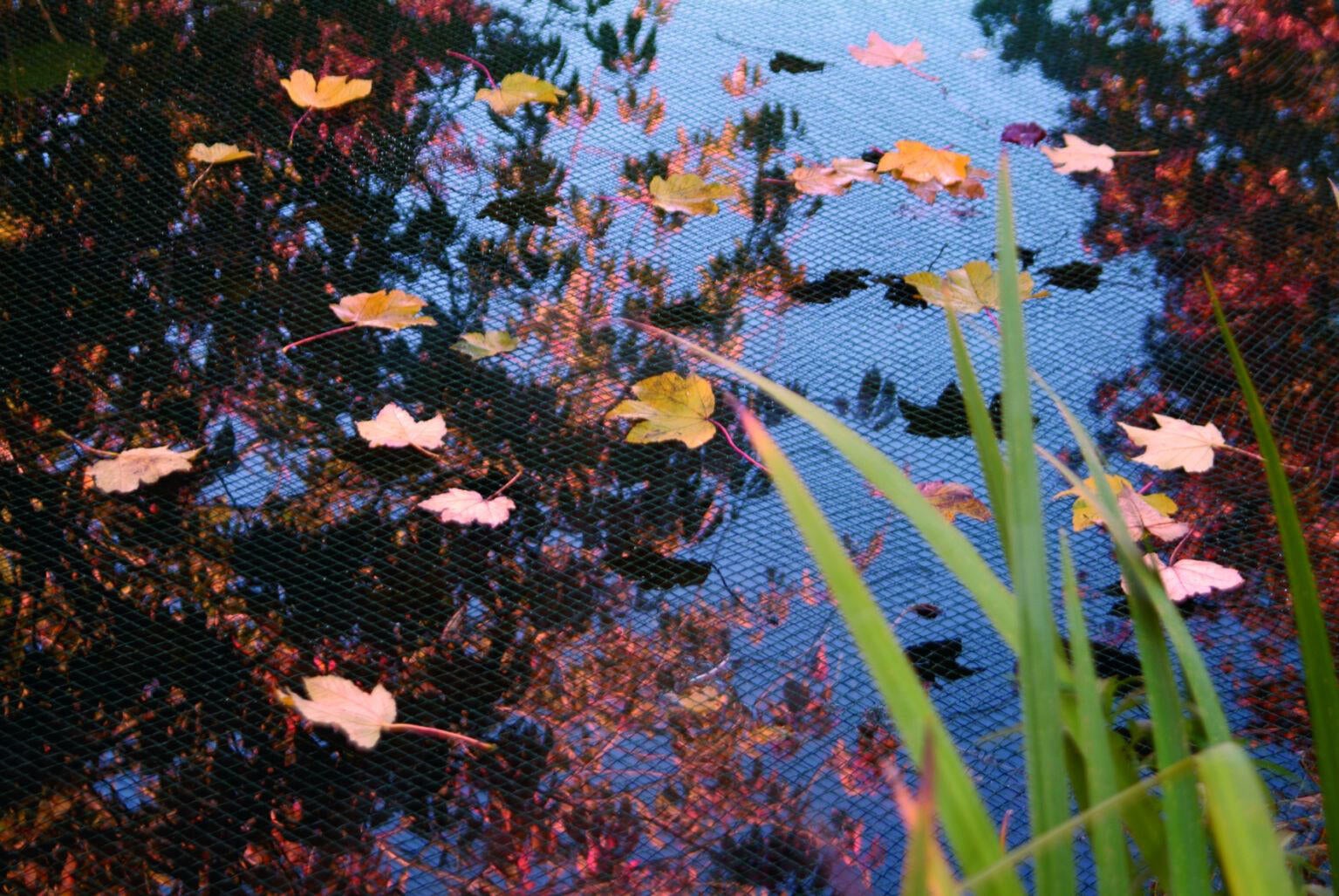 Filet de protection pour feuilles UBBINK + 10 piquets ancrage, 3 x 4 m ...