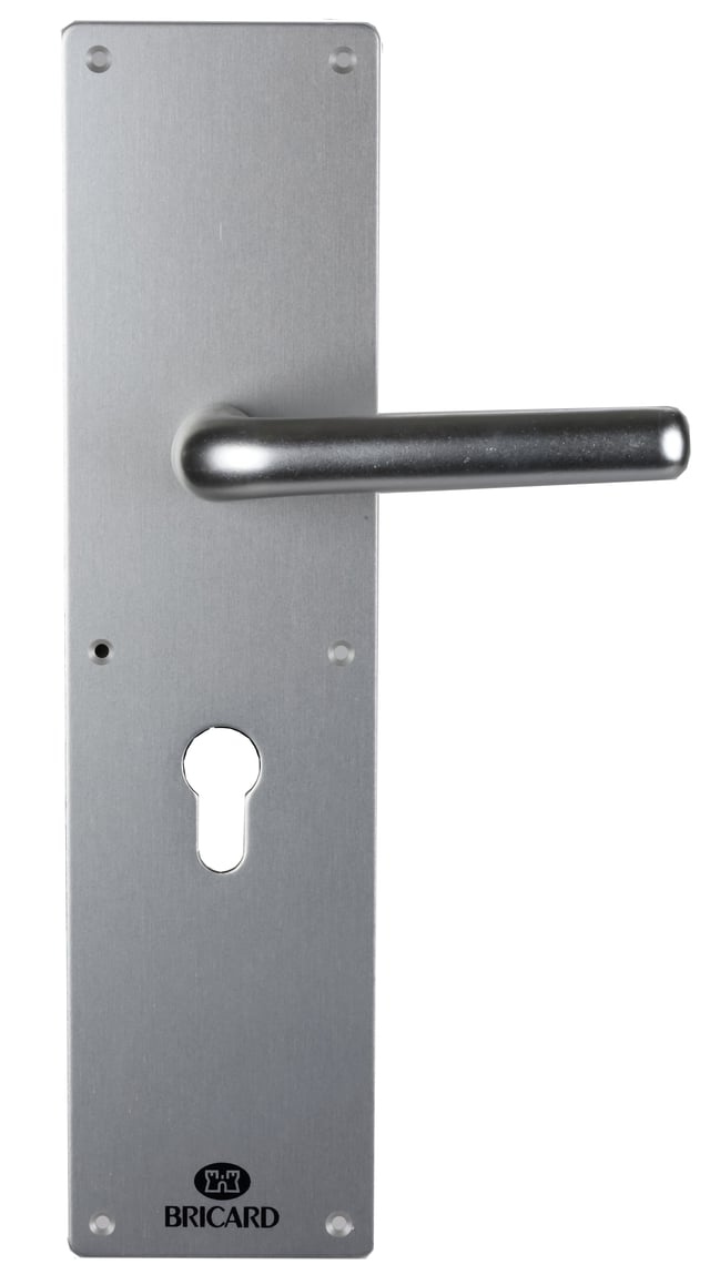 Palière et poignée pour multipoint | Leroy Merlin