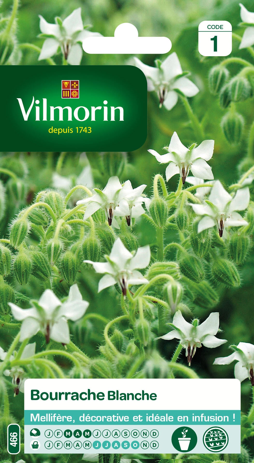 Graines de bourrache VILMORIN 1 g | Leroy Merlin