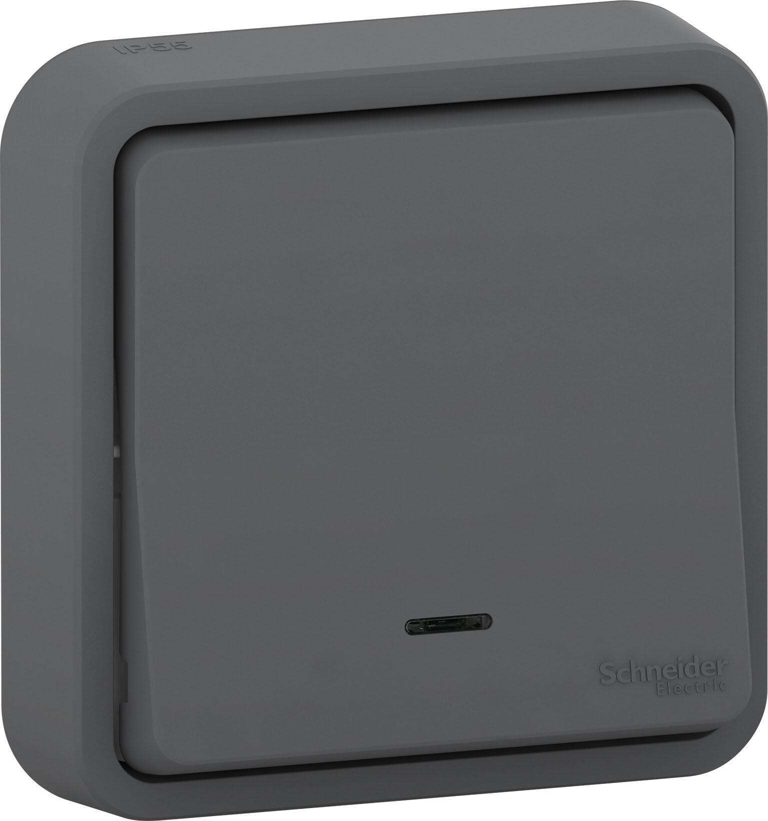 Interrupteur va-et-vient lumineux Mureva Styl, SCHNEIDER ELECTRIC ...