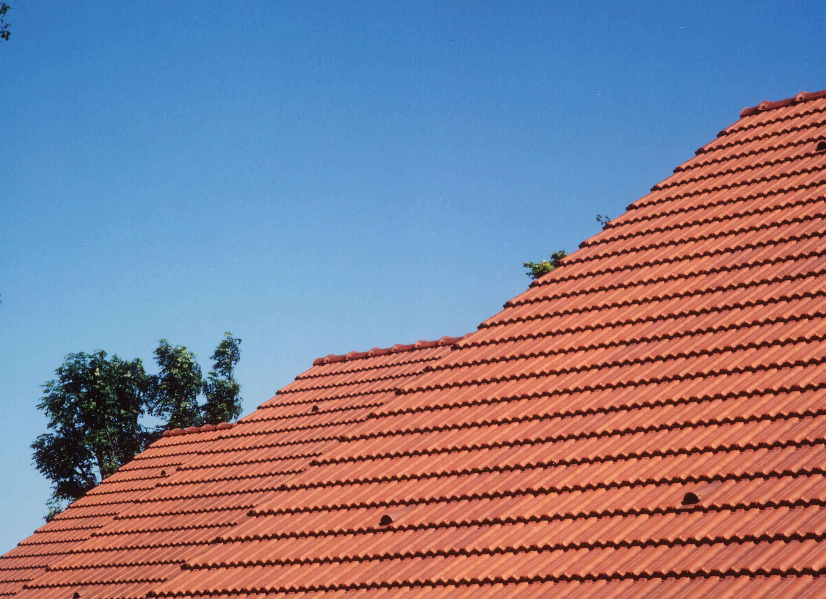 Tuile TERREAL rouge flammé 1cn | Leroy Merlin