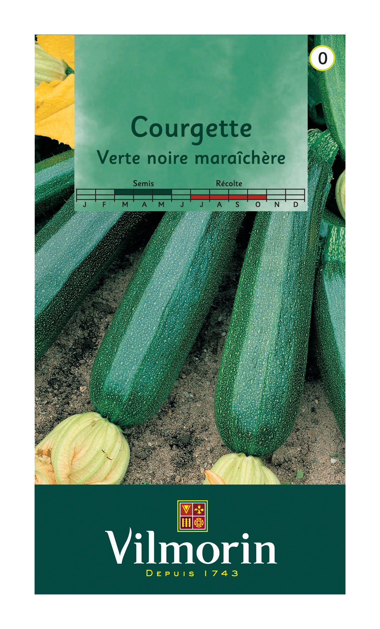 Graine potager VILMORIN 4 g | Leroy Merlin