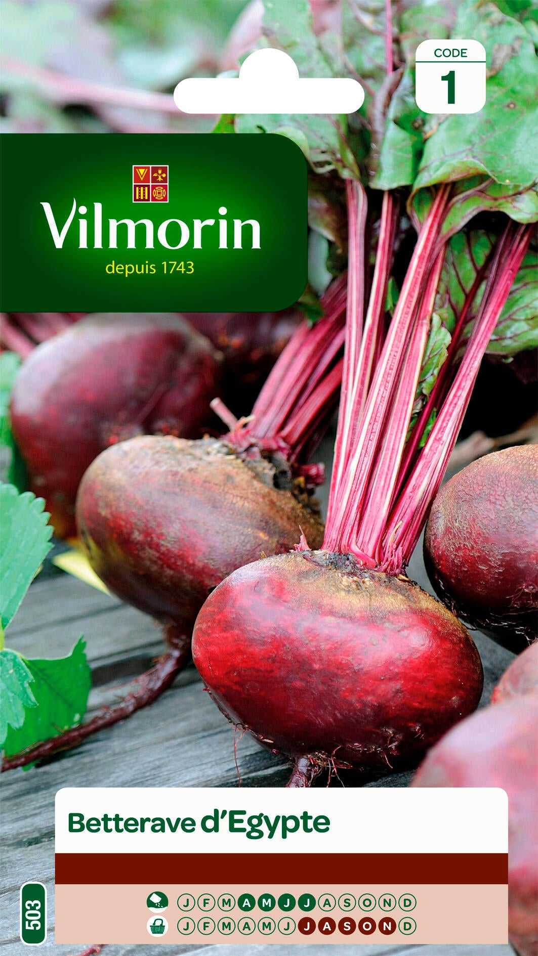 Graines de betterave VILMORIN 4 g | Leroy Merlin