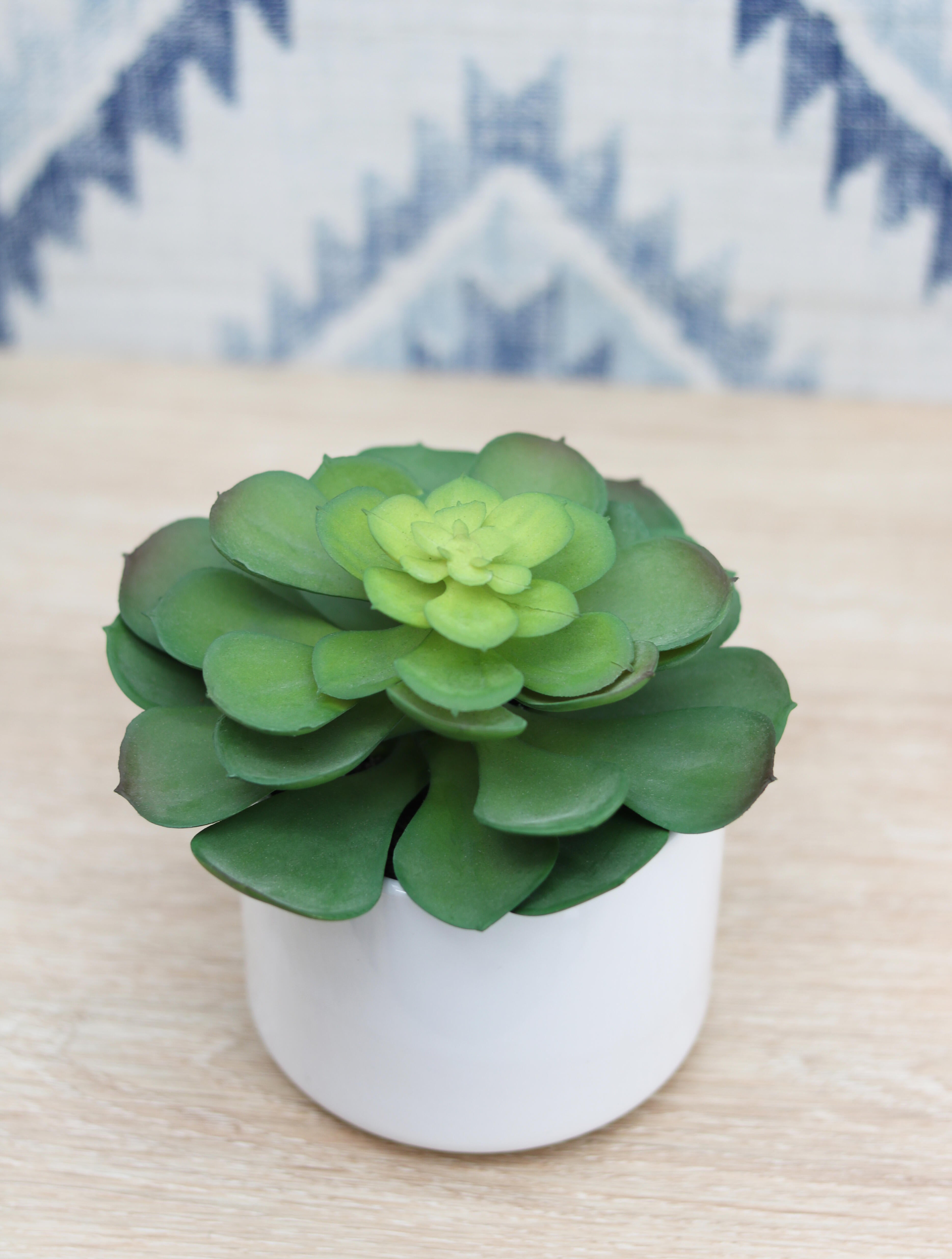 Succulente chou artificielle en pot céramique H15 cm, Ligne Déco ...
