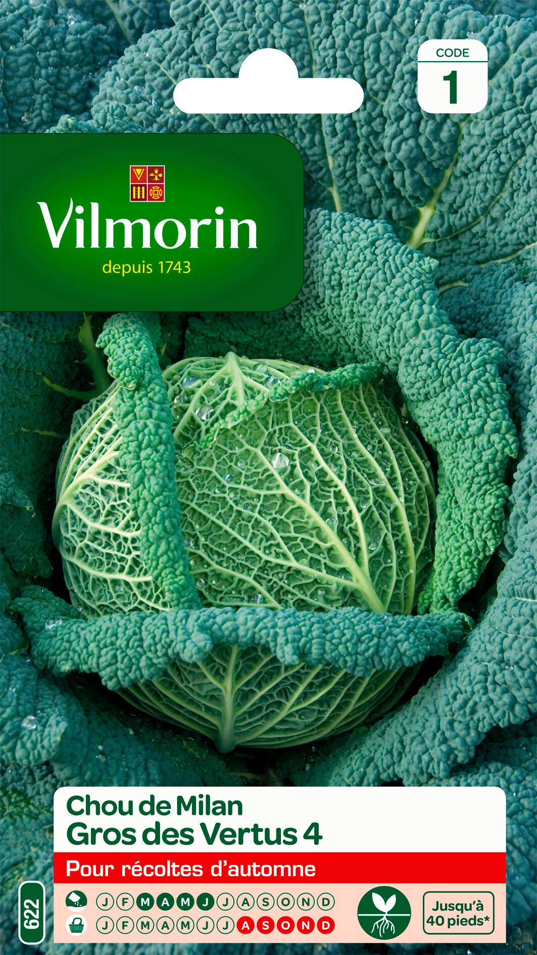 Chou de Milan gros des vertus VILMORIN 2 g | Leroy Merlin