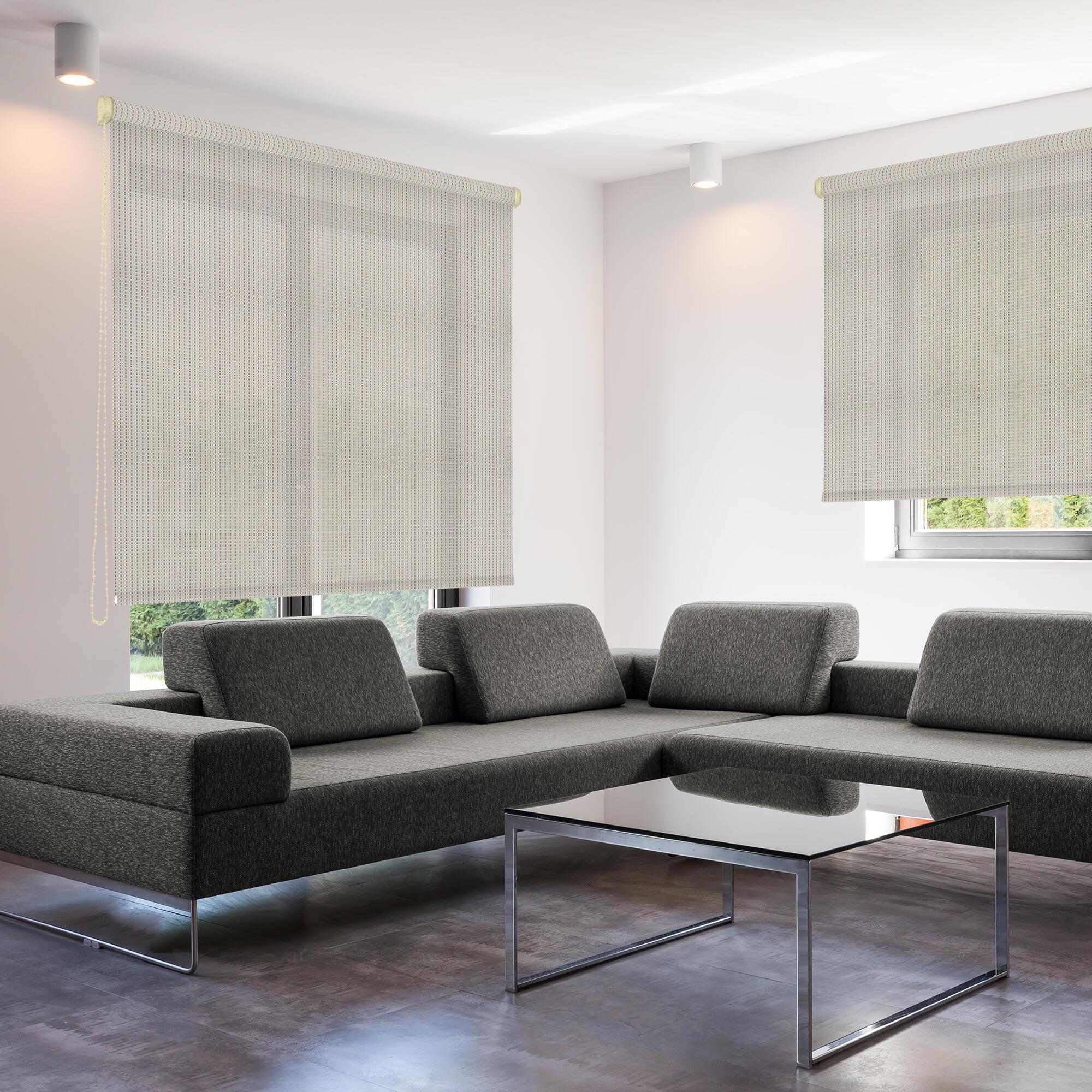 Store enrouleur screen 8% royal noir & gris, l.165 x H.250 cm, VIEWTEX ...