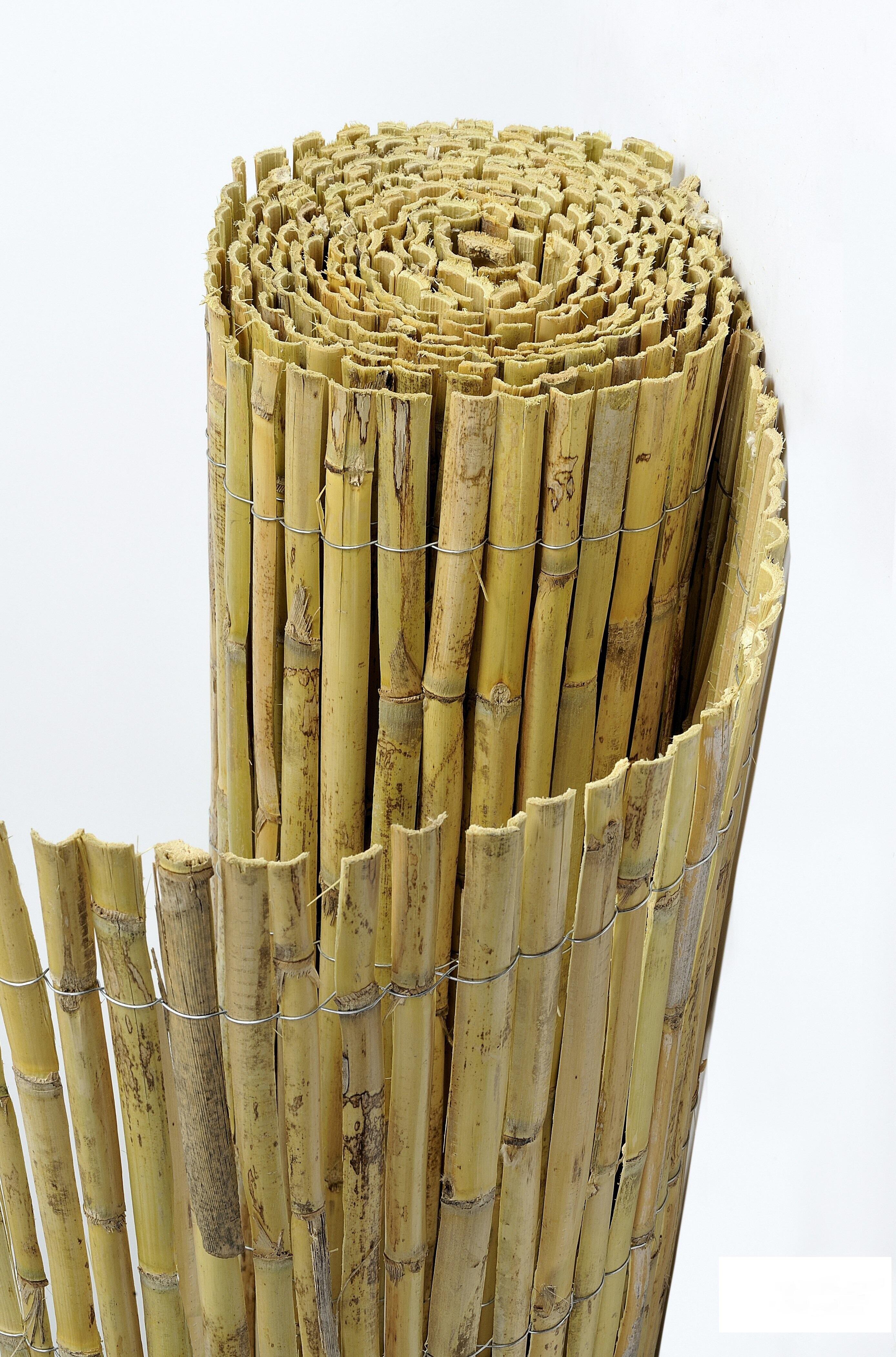 Canisse roseau fendu premium H.2 x L.5 m | Leroy Merlin