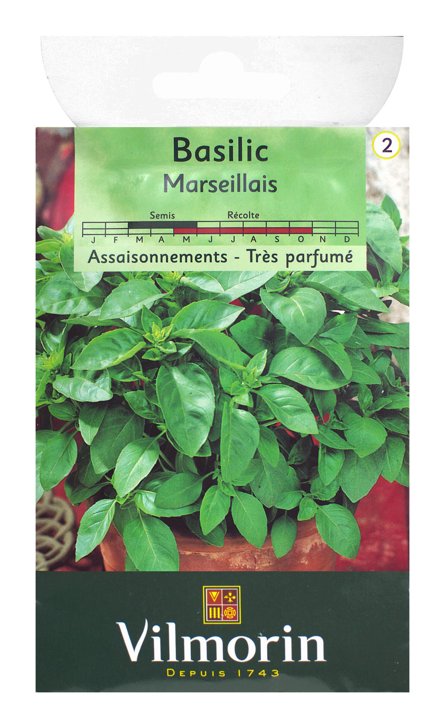 Graines VILMORIN 1 g | Leroy Merlin