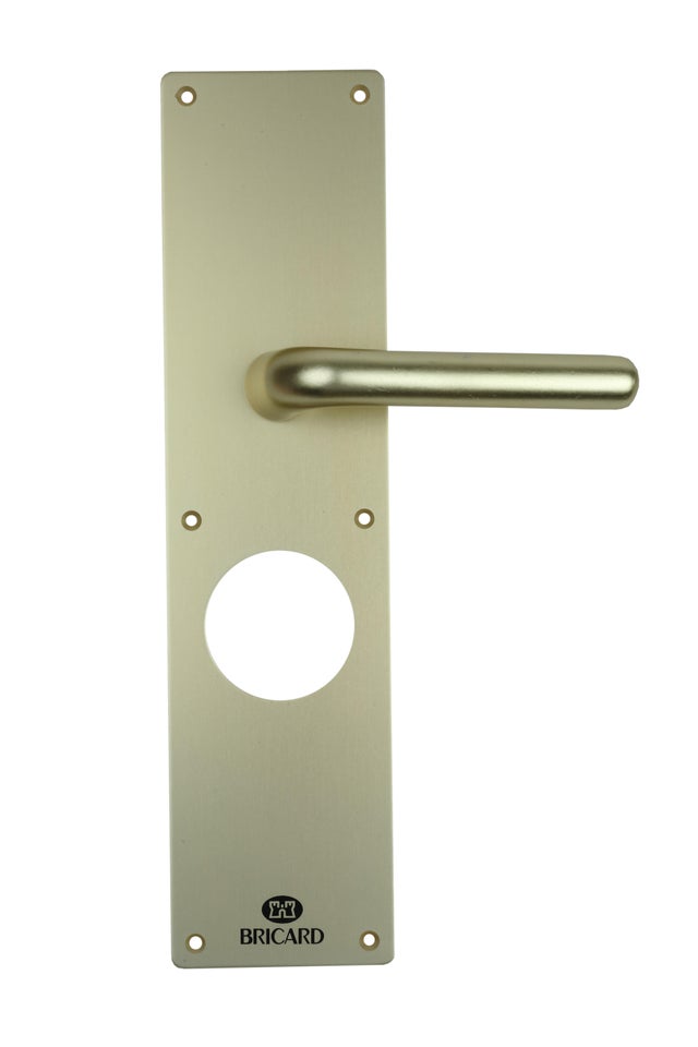 Palière et poignée pour multipoint | Leroy Merlin