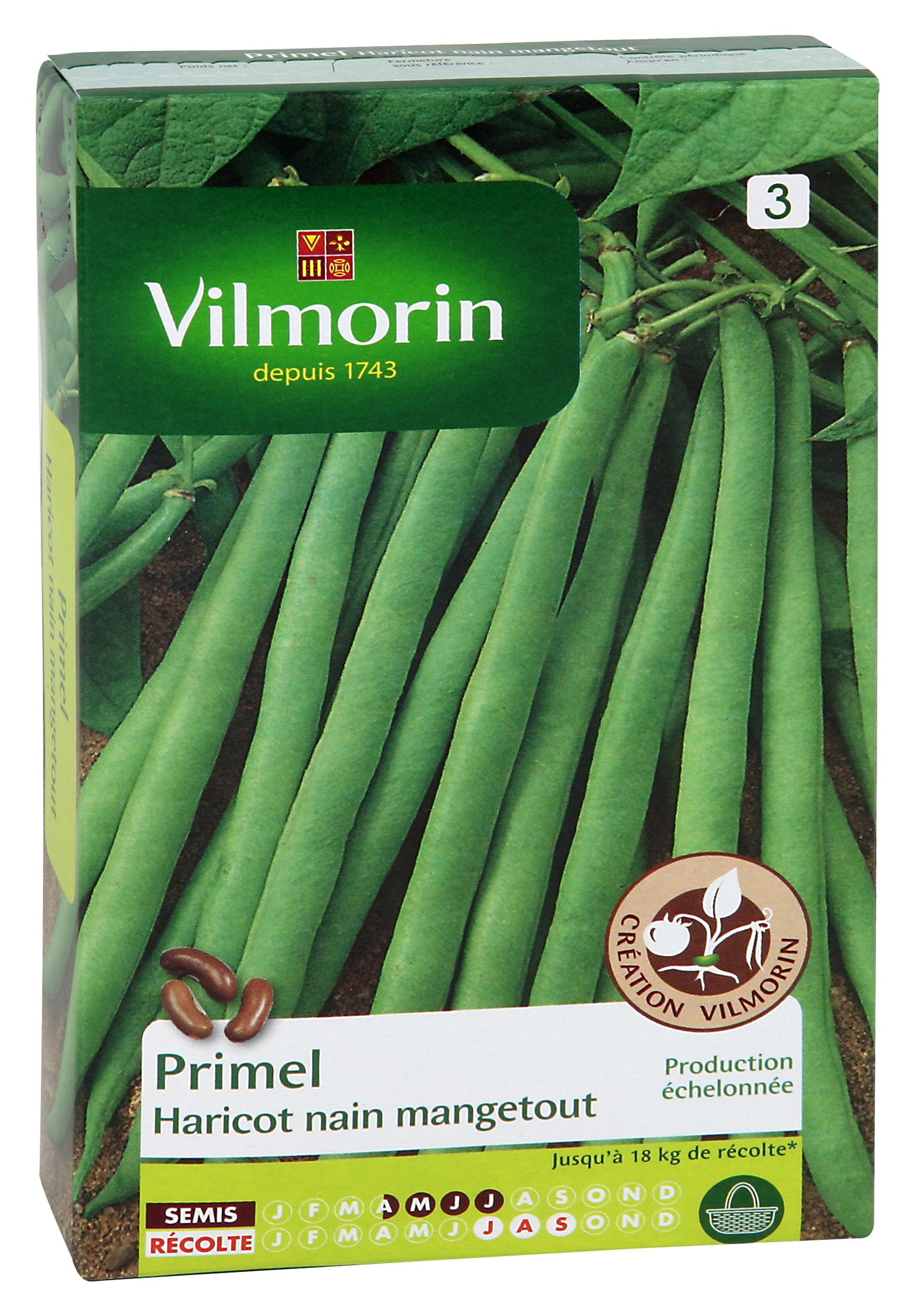 Graine haricot | Leroy Merlin