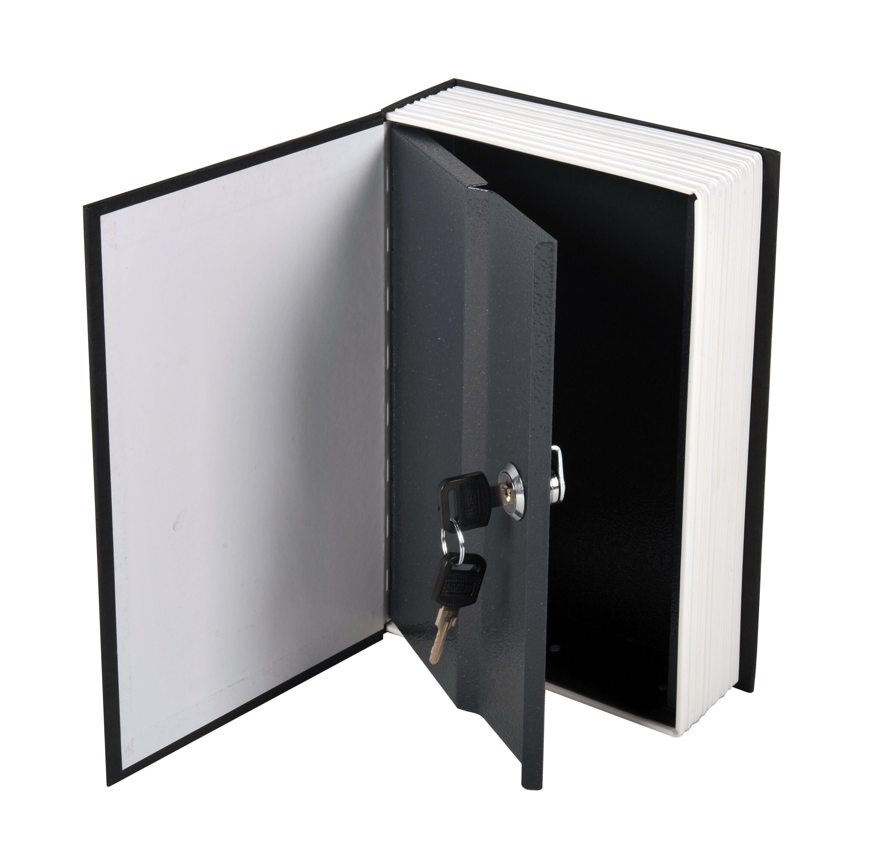 Rangement sécurisé Minisafe à poser, H.24.3 x l.15.8 x P.5.5 cm | Leroy ...