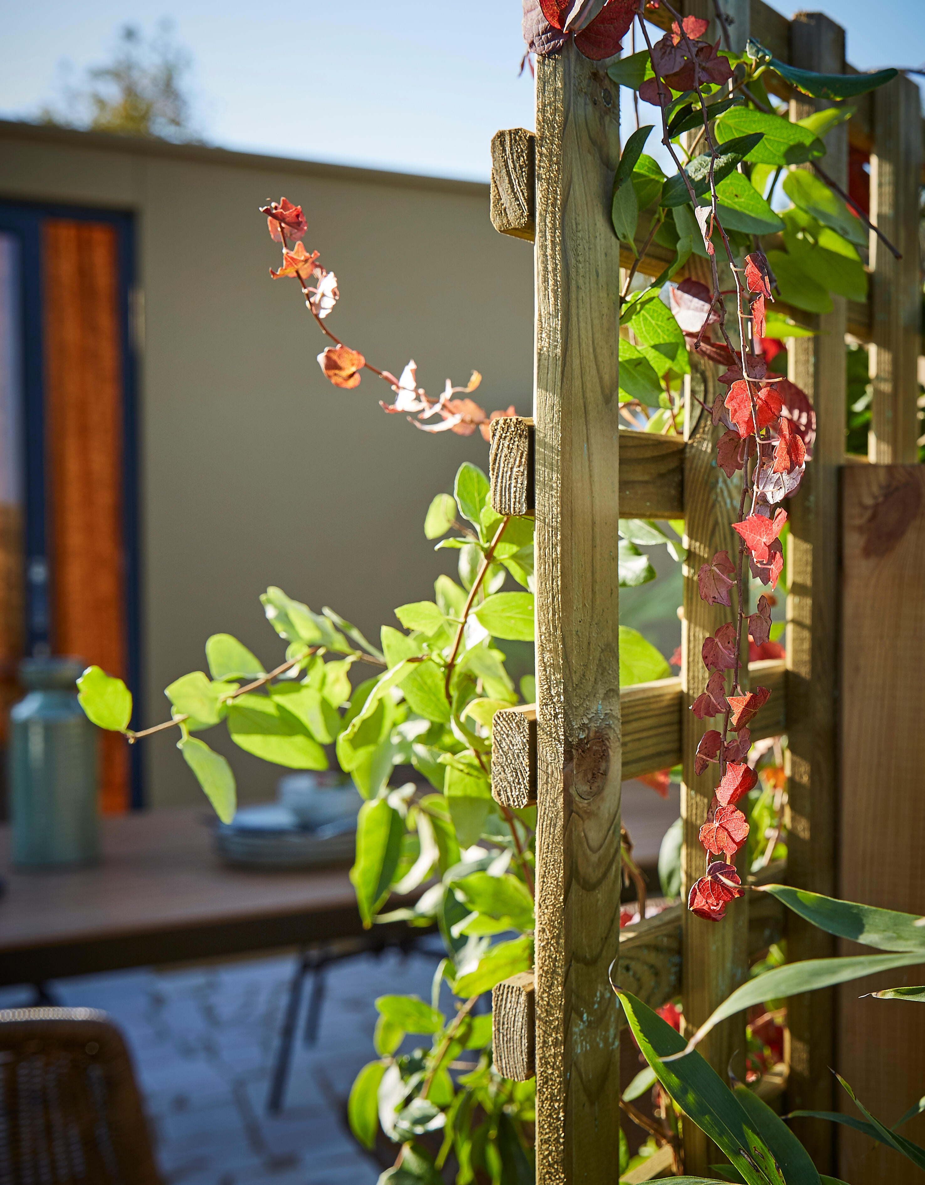 Panneau treillis bois ajouré Sevilla, CERLAND, l.180 x H.180 cm ...