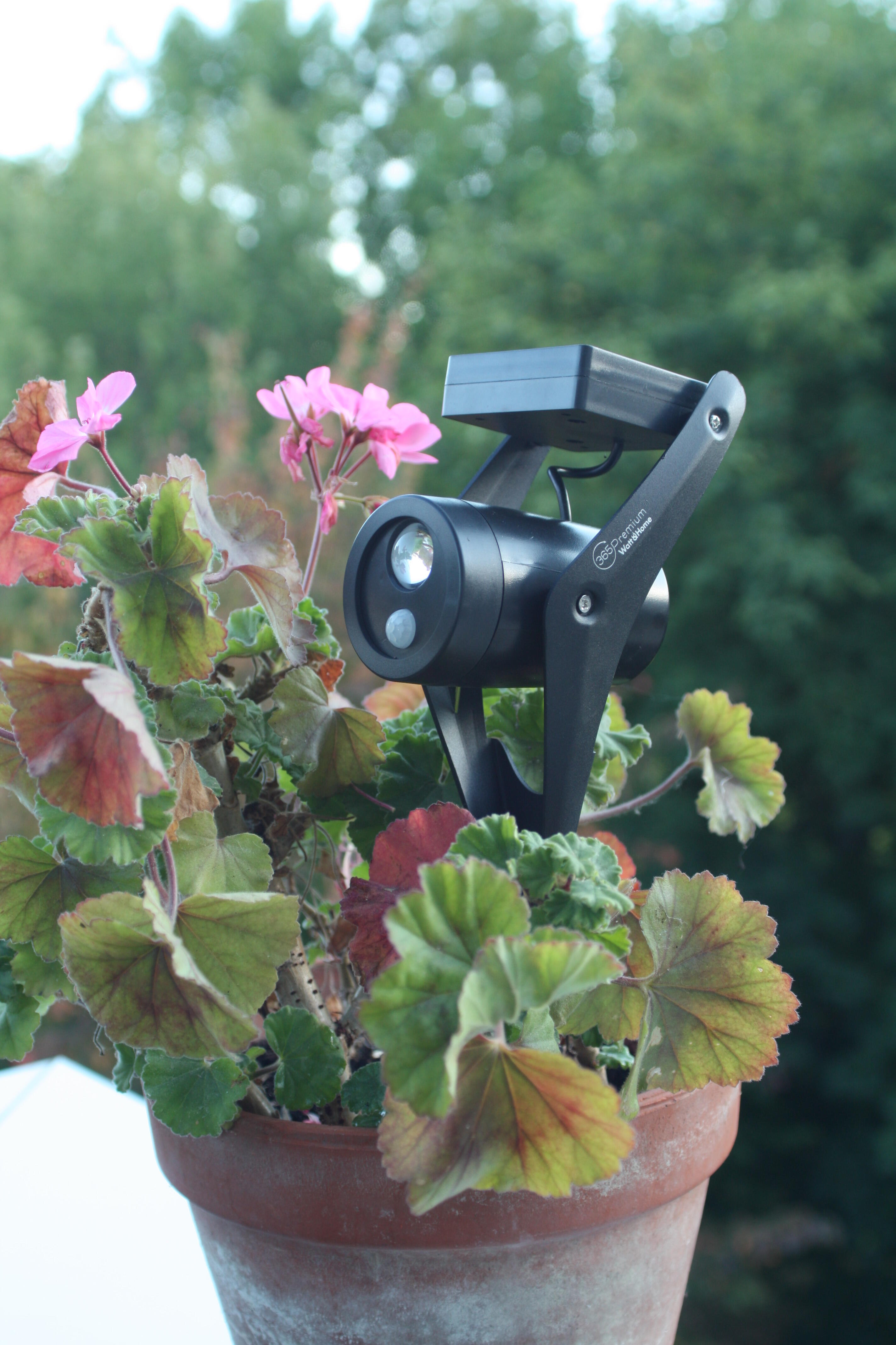 Spot à piquer solaire à détection 250 Lumen noir 365 Premium WATT ...