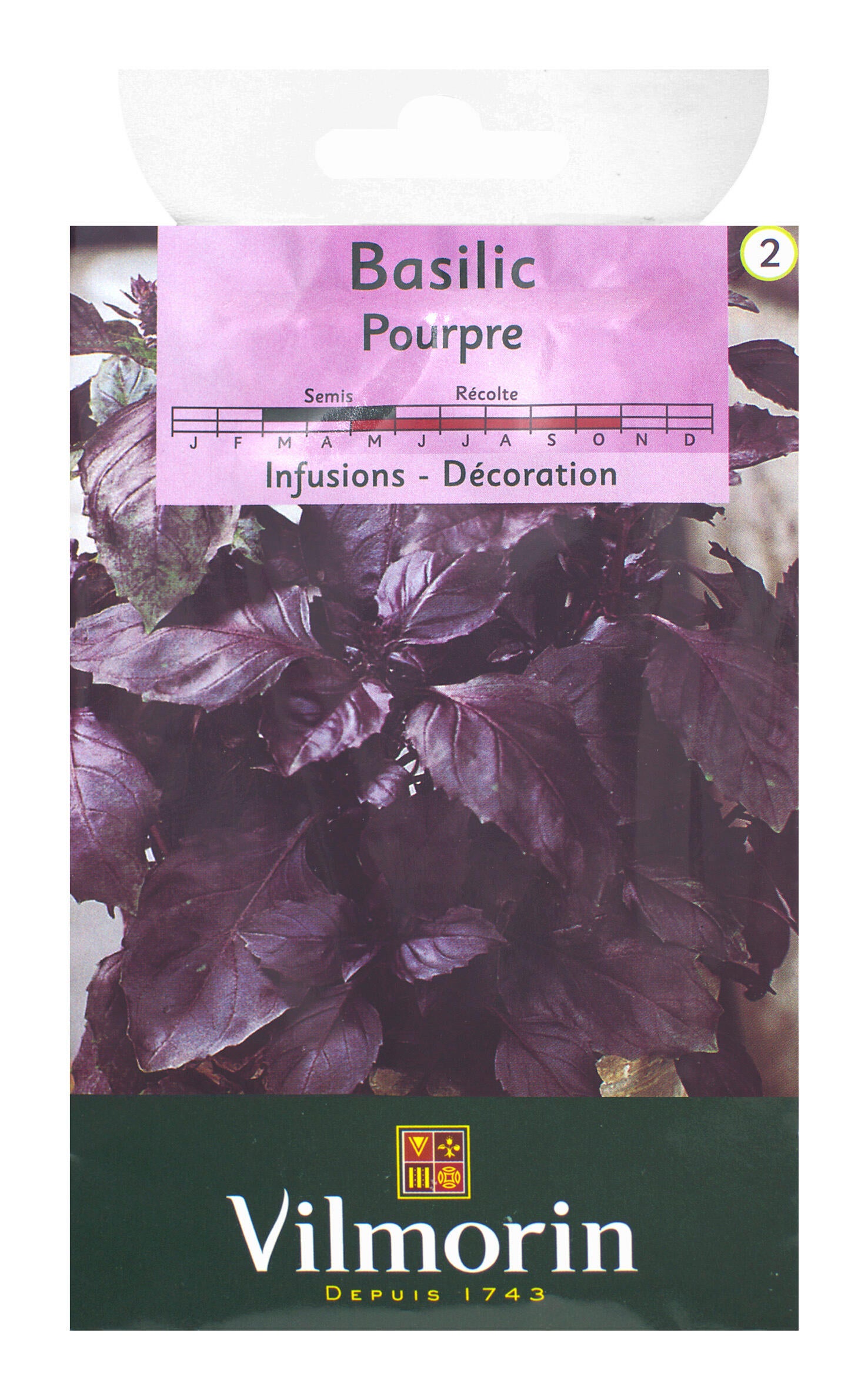 Basilic pourpre VILMORIN 1 g | Leroy Merlin
