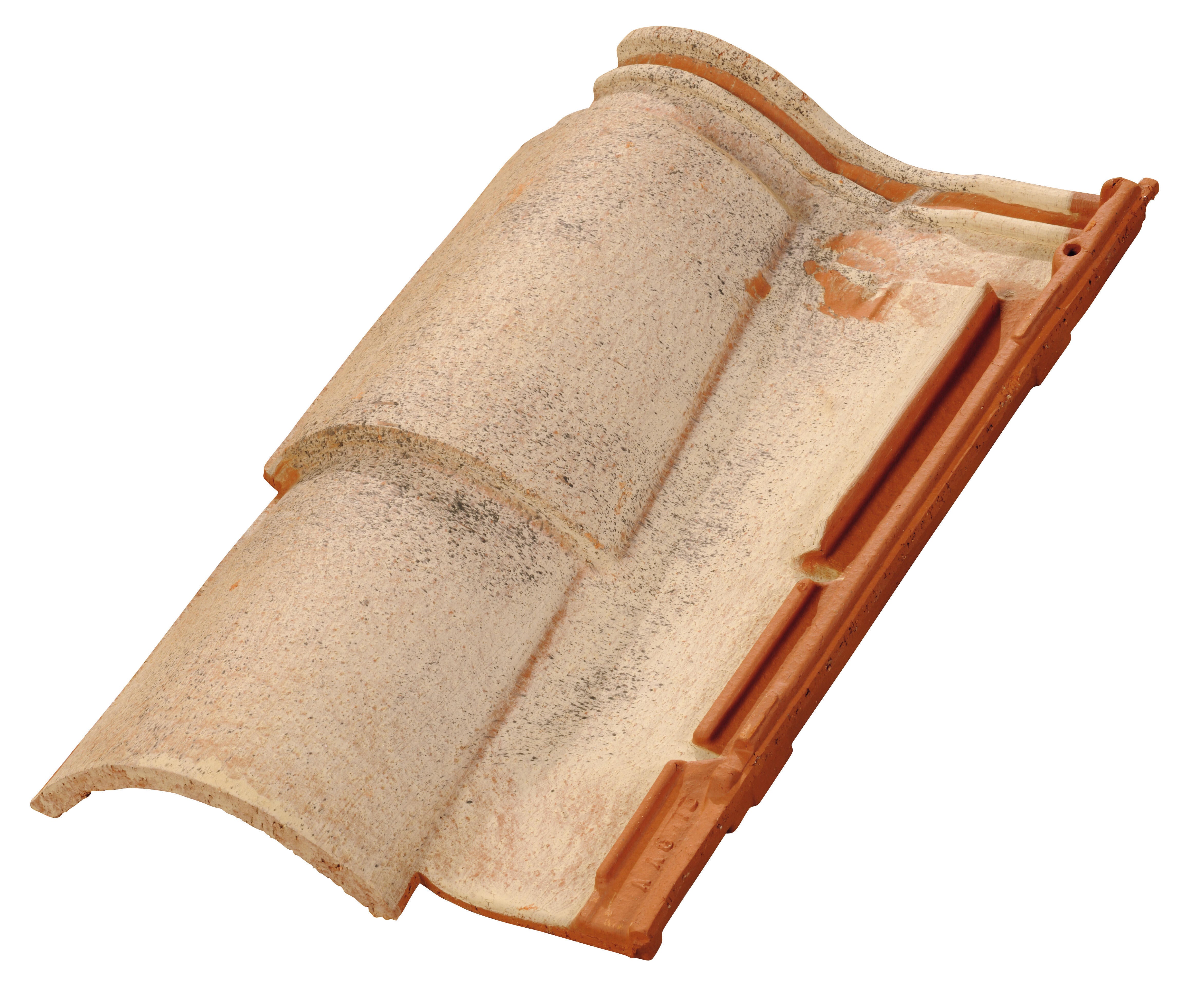 Tuile TERREAL vieilli languedoc 1ld | Leroy Merlin