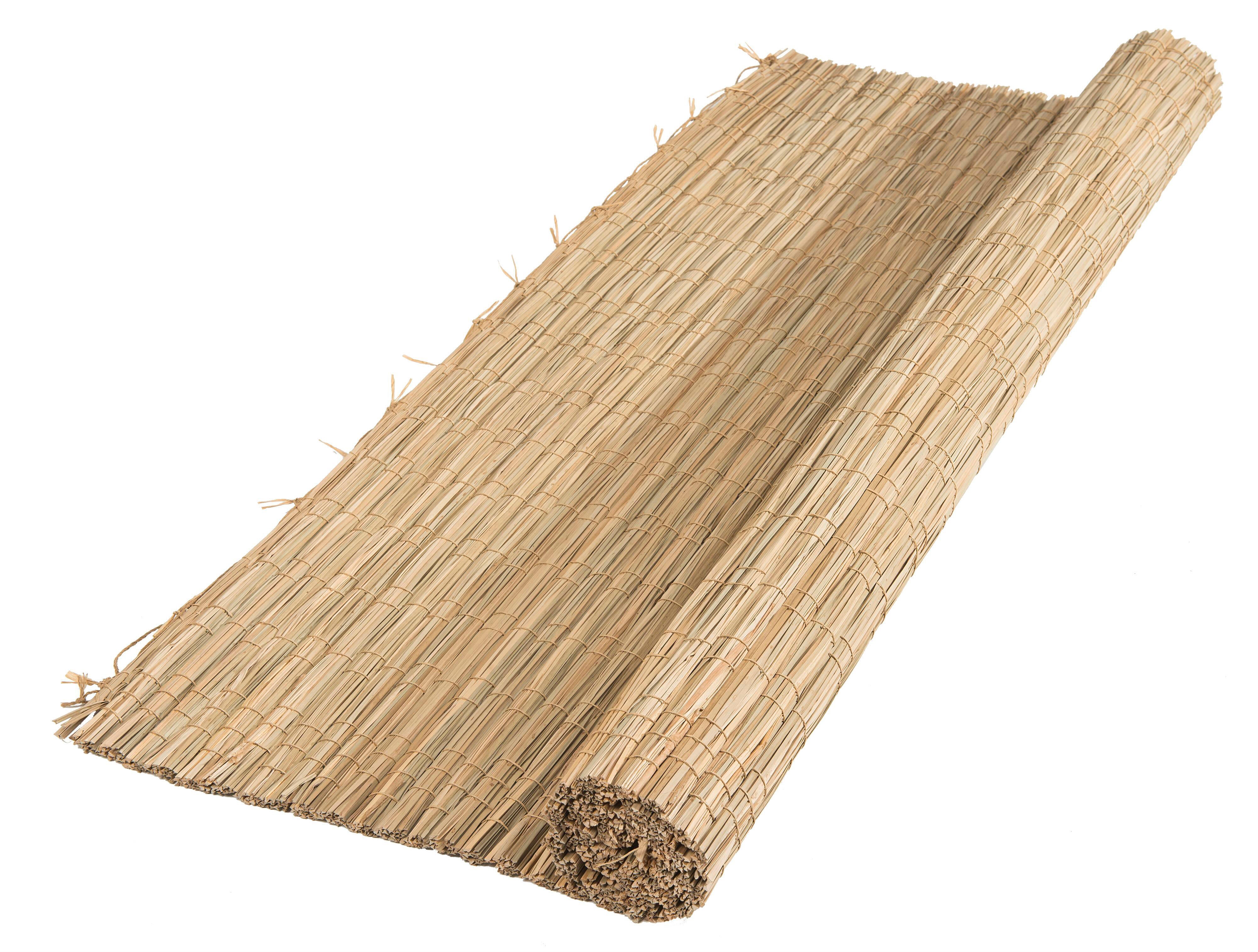 Canisse carex beige, H.1 x L.3 m | Leroy Merlin