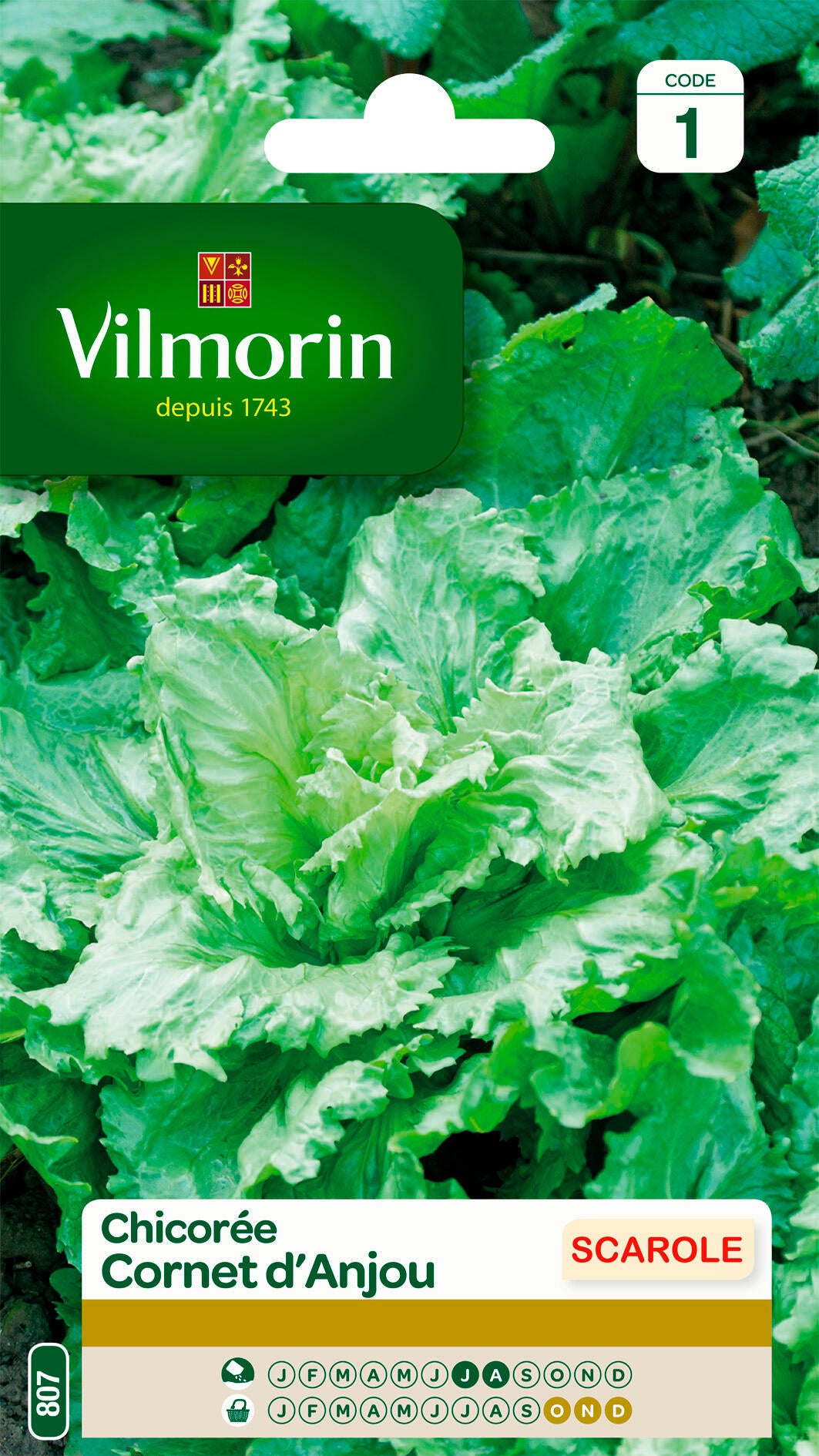 Chicorée scarole scarole cornet d'anjou VILMORIN 4 g | Leroy Merlin
