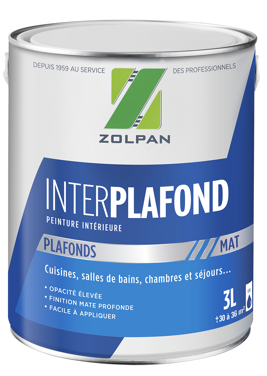 Peinture Zolpan Mat Prix