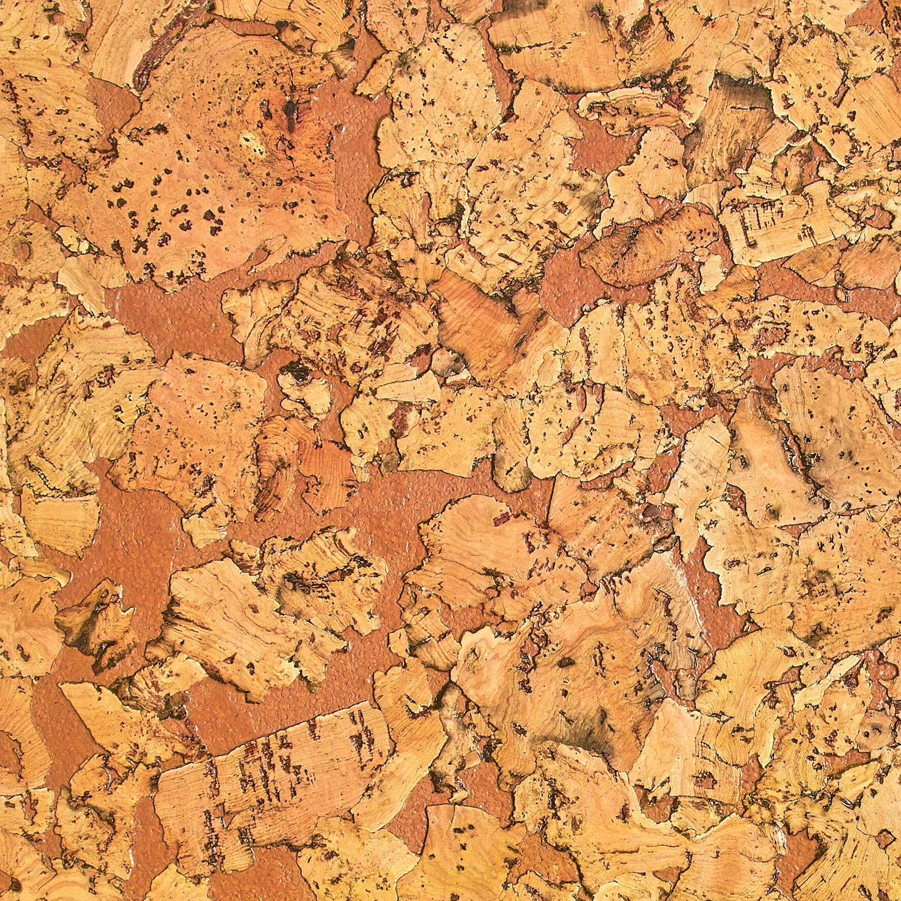 Lot de 5 dalles de liège murales, naturel fond brique, l.60 x L.30 cm ...