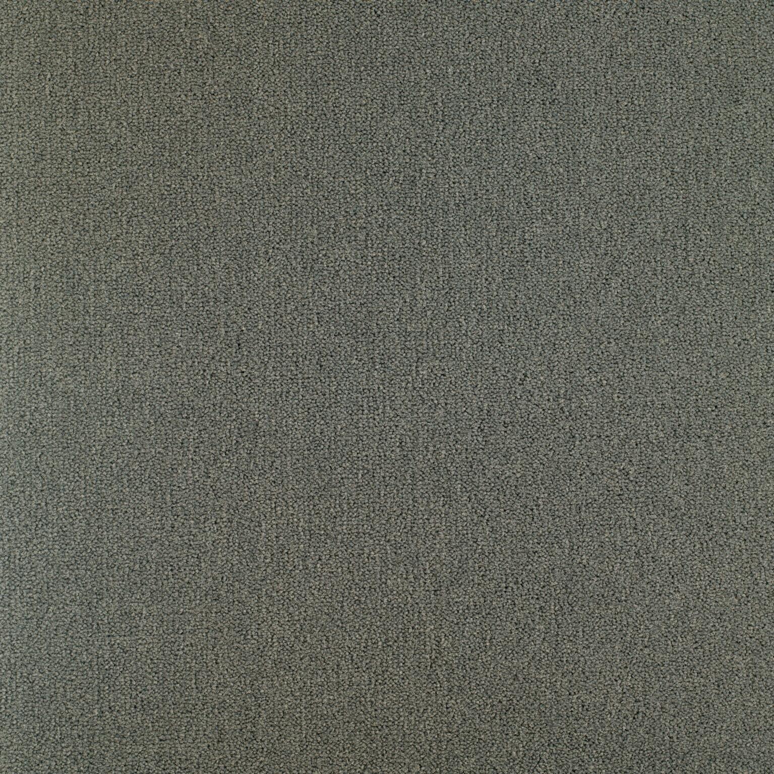 Moquette velours ras uni noir, Les best 2 980, rouleau l.4 m | Leroy Merlin