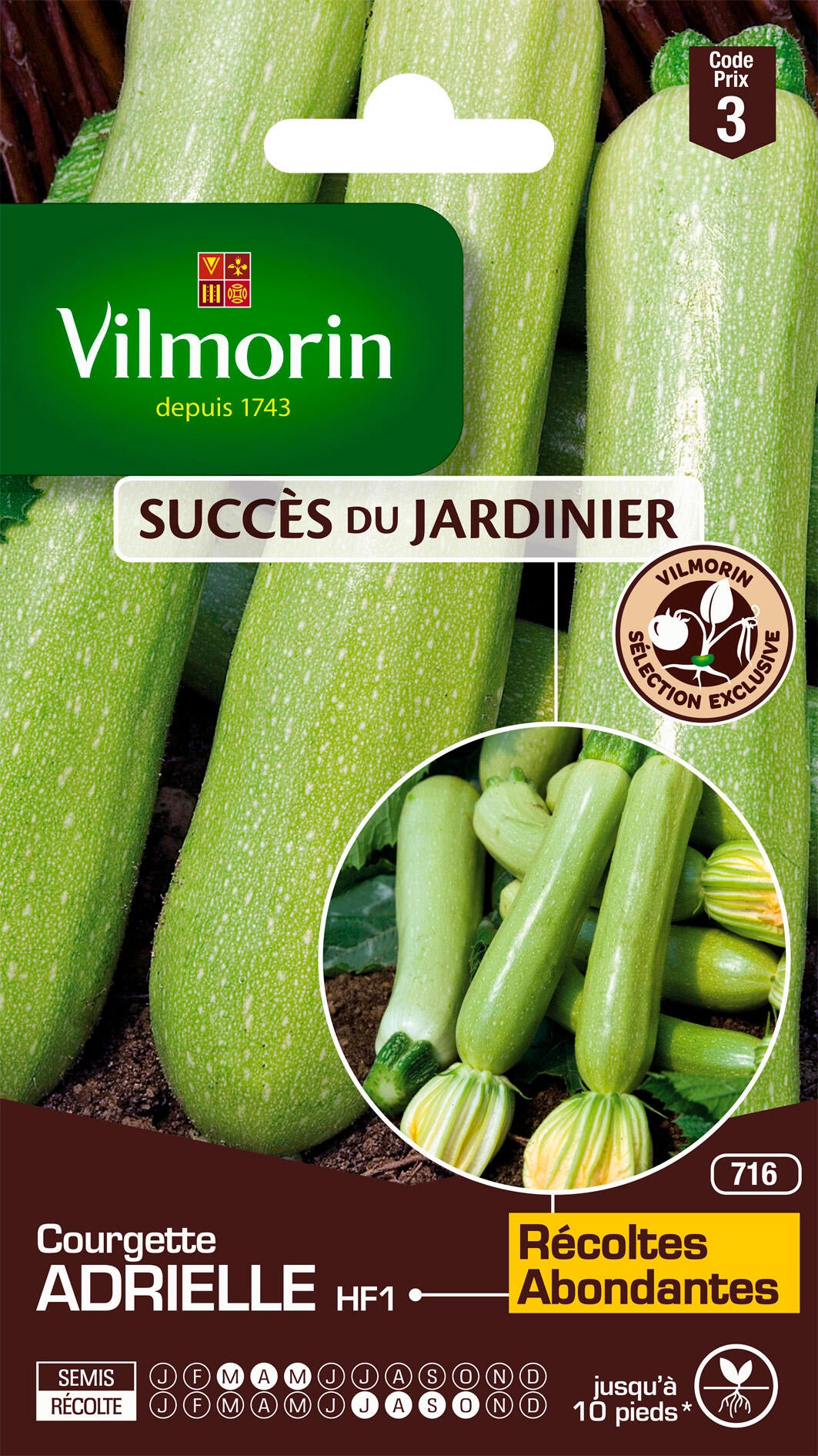 Courgette adrielle, hybride f1 VILMORIN 3 g | Leroy Merlin