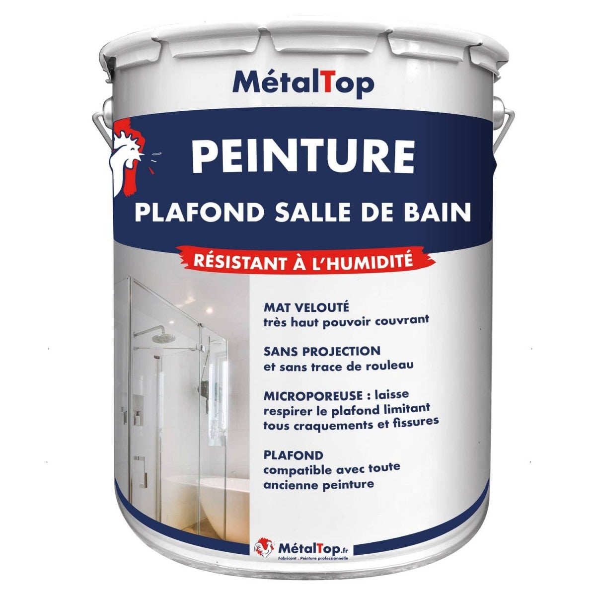 Peinture Plafond Salle De Bain - Metaltop - Vert pâle - RAL 6021 - Pot ...