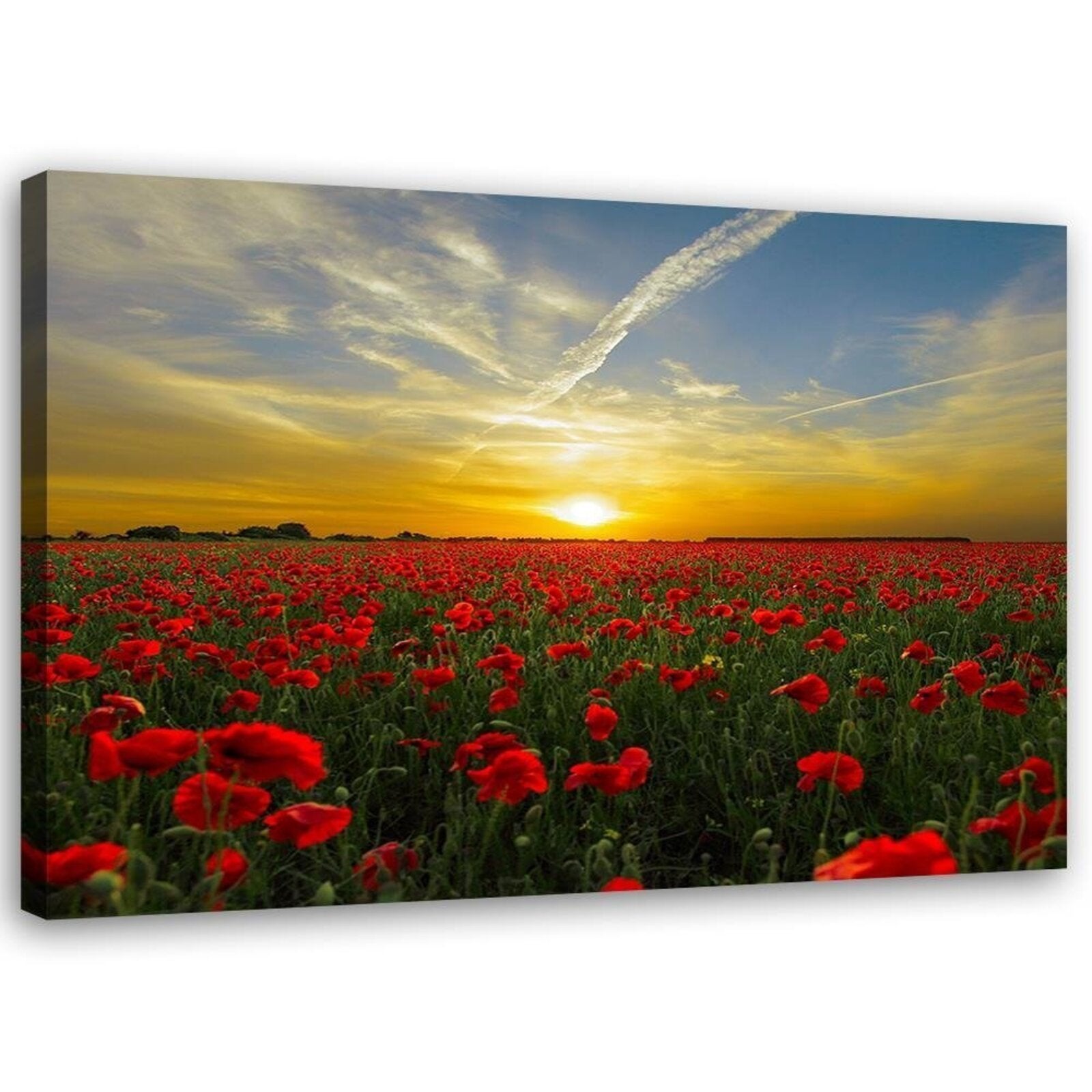 Tableau fleurs de pavot rouge - 120 x 80 cm | Leroy Merlin