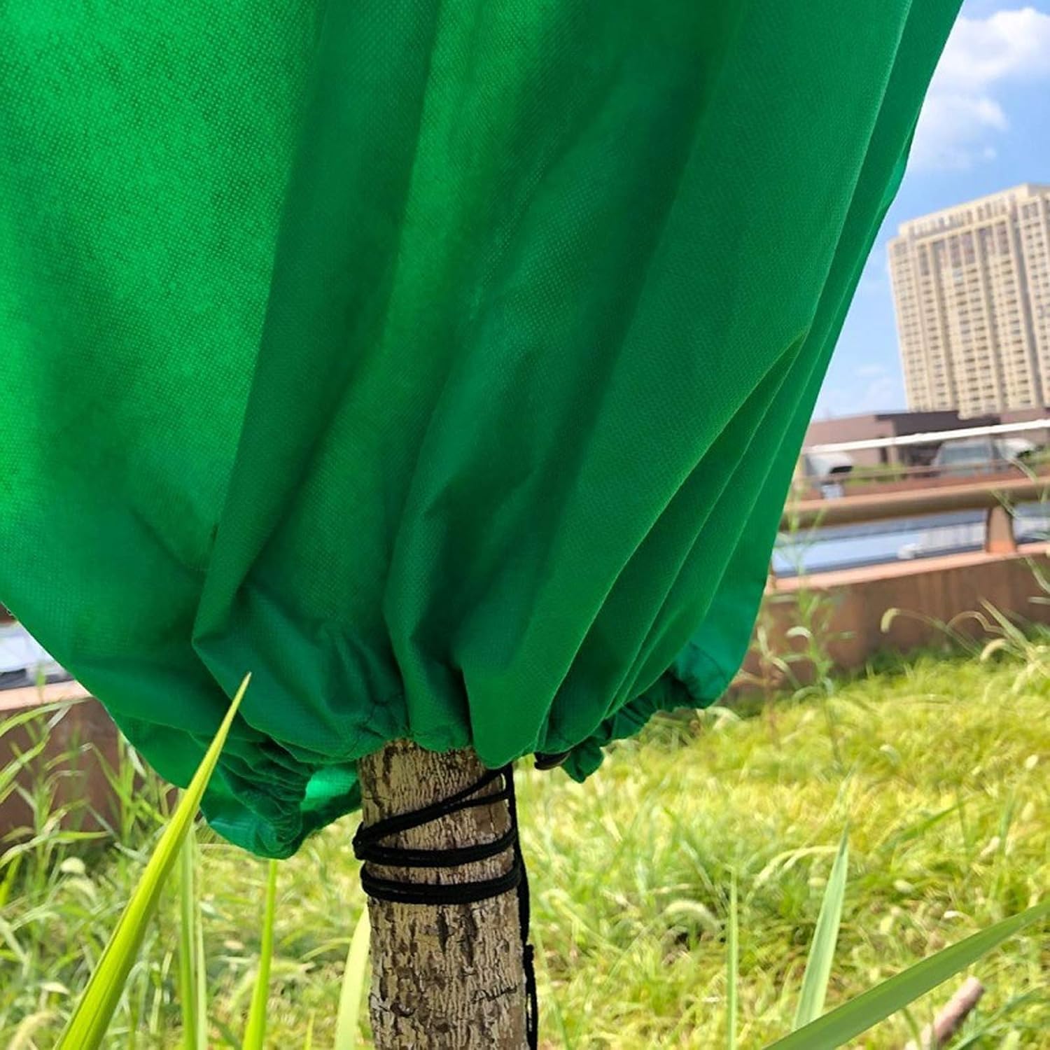 Juego de 2 fundas protectoras anticaracoles para plantas de jardín ...