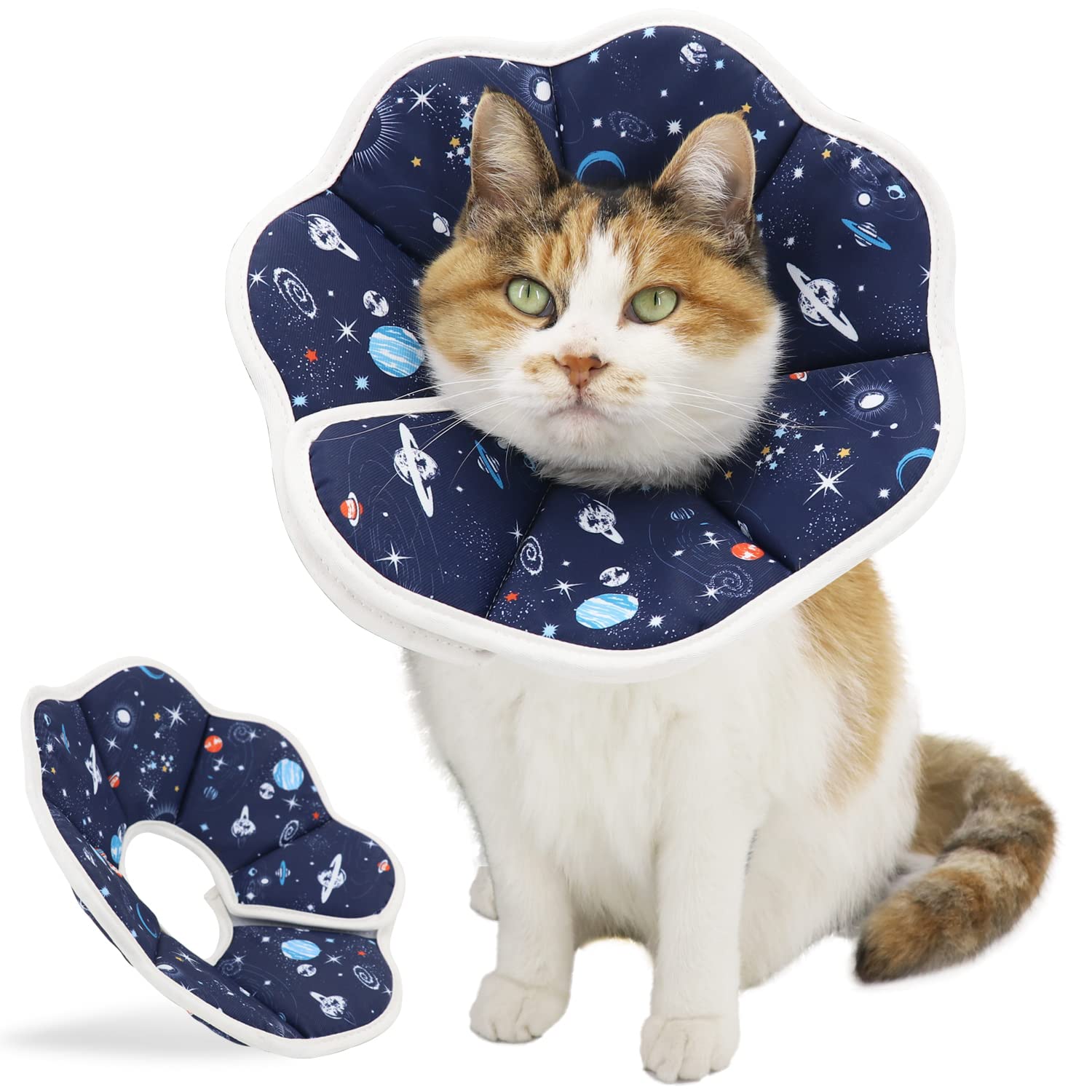 Cône souple pour chat, collier de convalescence ajustable après une ...