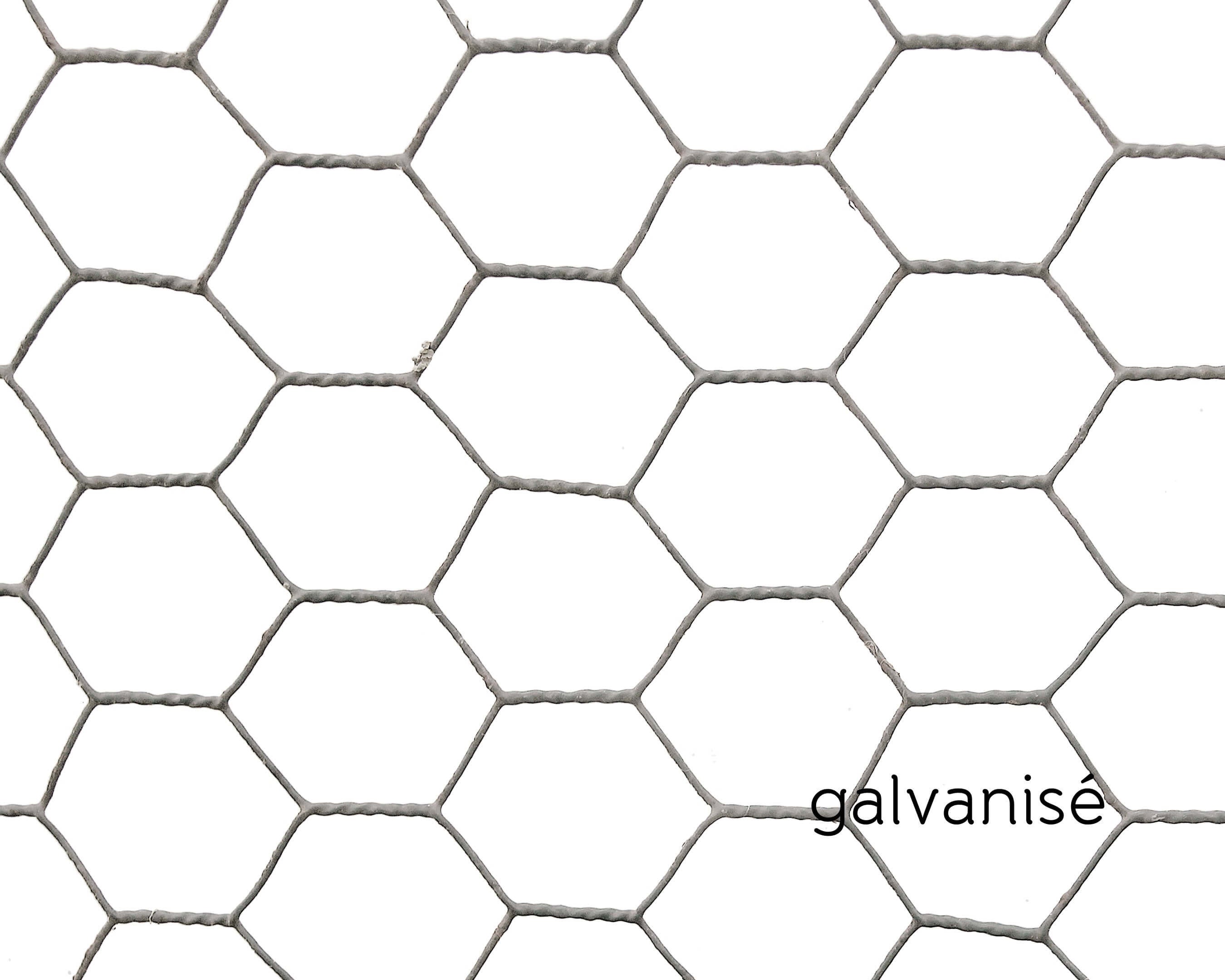 Grillage triple torsion grillage à poules H. 1 m • L. 25 m • fil 0,8 mm ...