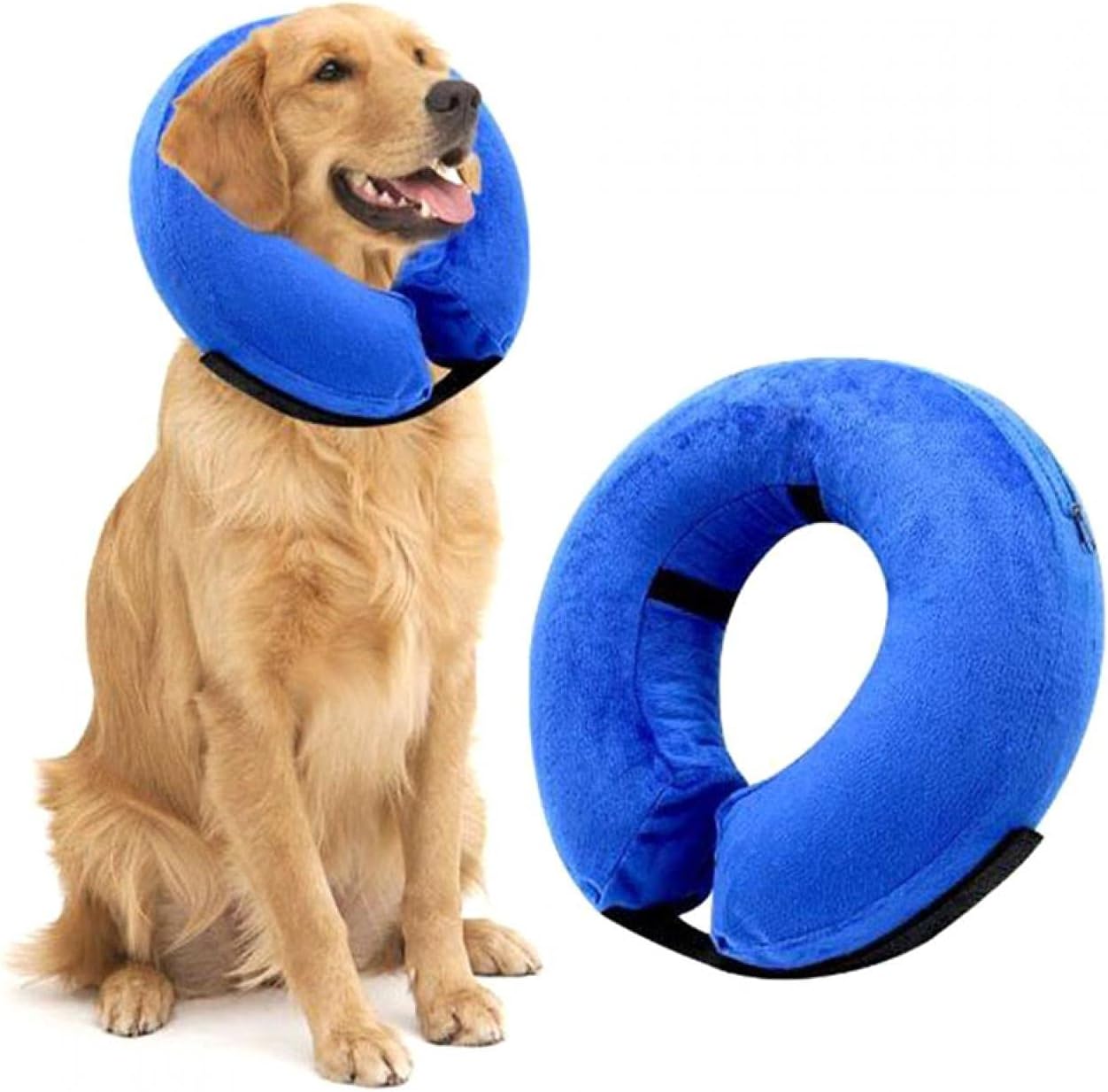 Collier conique gonflable réglable pour chiens et chats – Protection ...